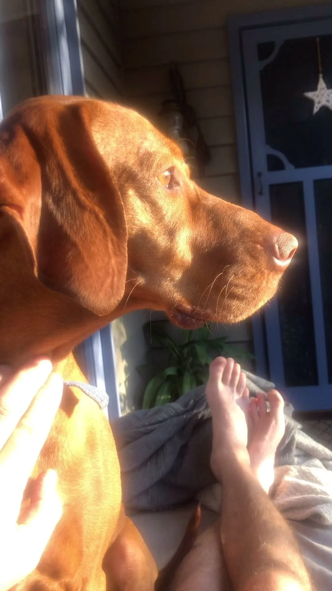 The Road to Winter — MARK SMITH