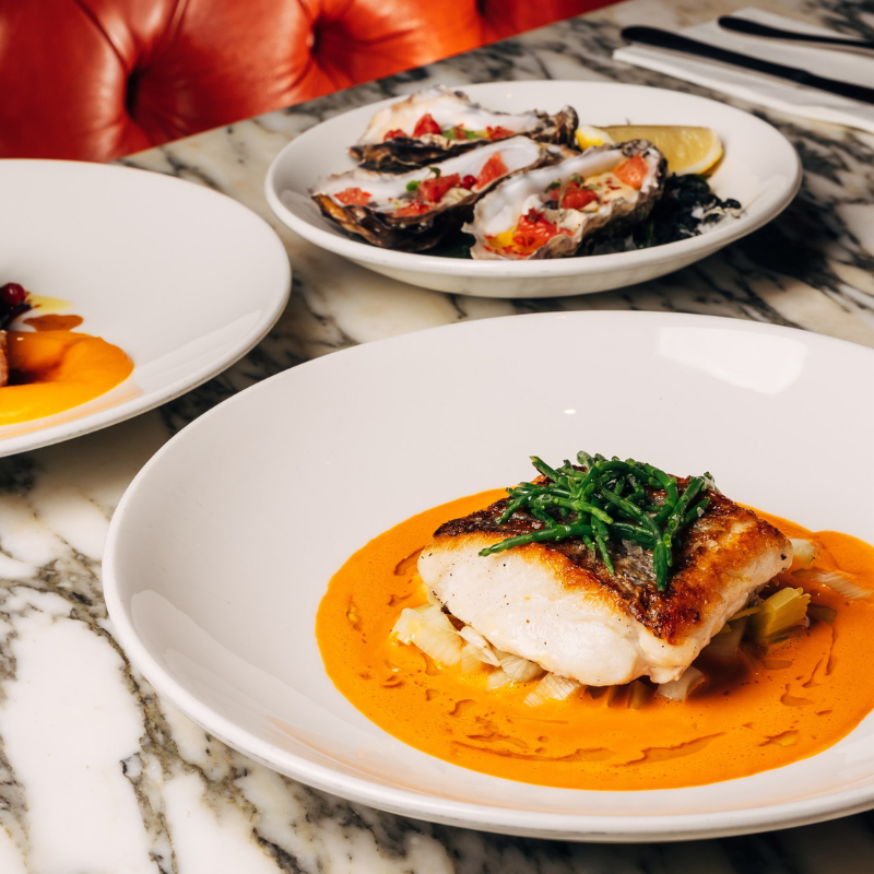 DLSM Studio | Luxury & Lifestyle Hospitality Design