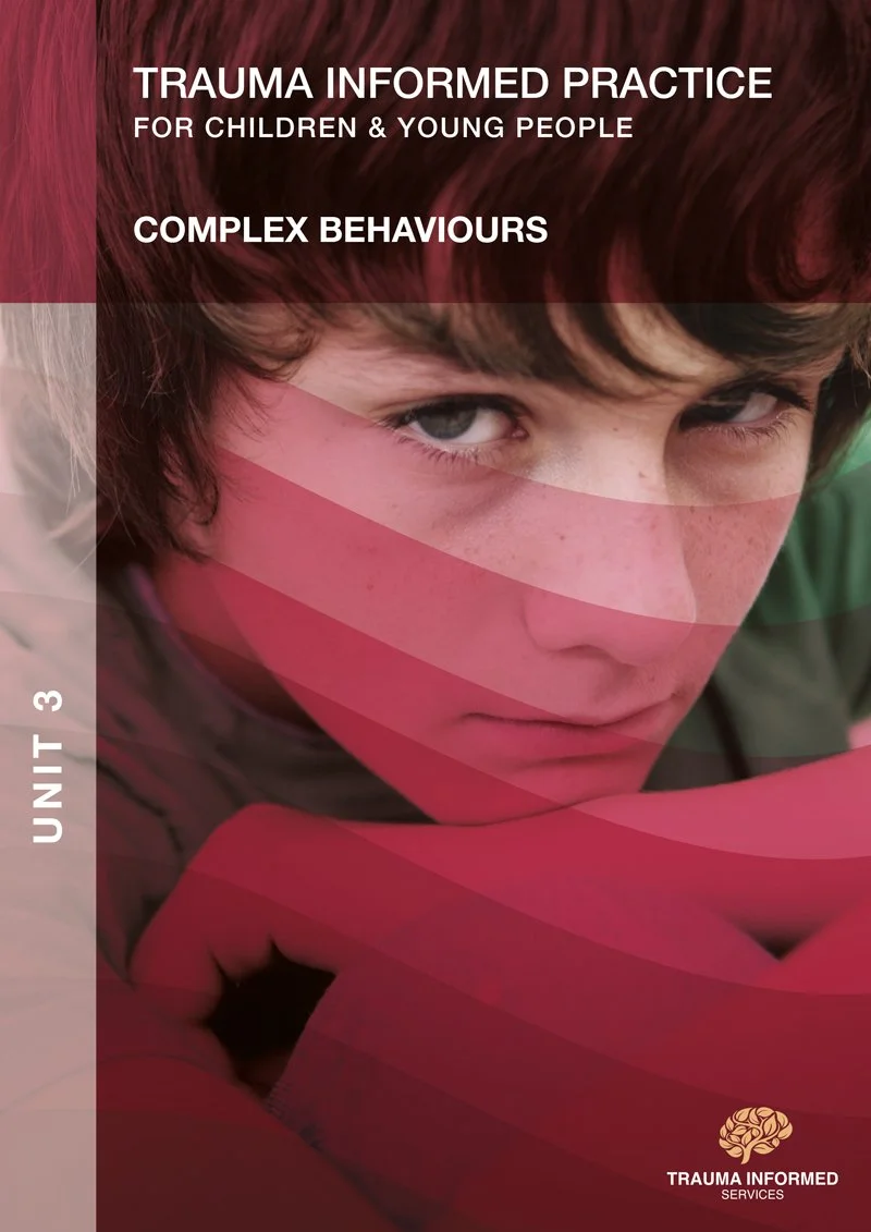 Trauma Informed Practice for Children & Young People — Trauma Informed ...