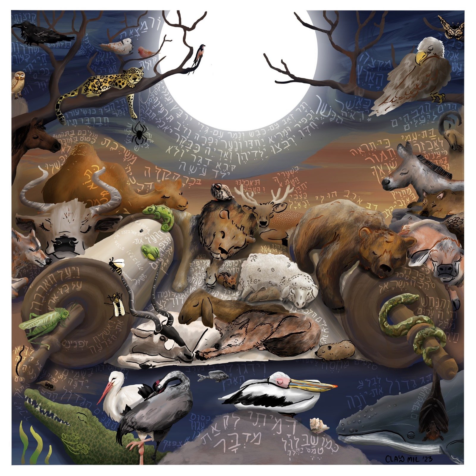 2024 Courses — Judaism Unbound