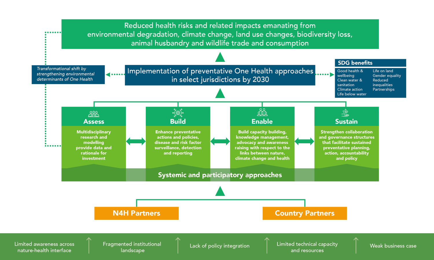 Approach — Nature for Health (N4H)