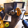 Life at Tripadvisor — Tripadvisor Careers