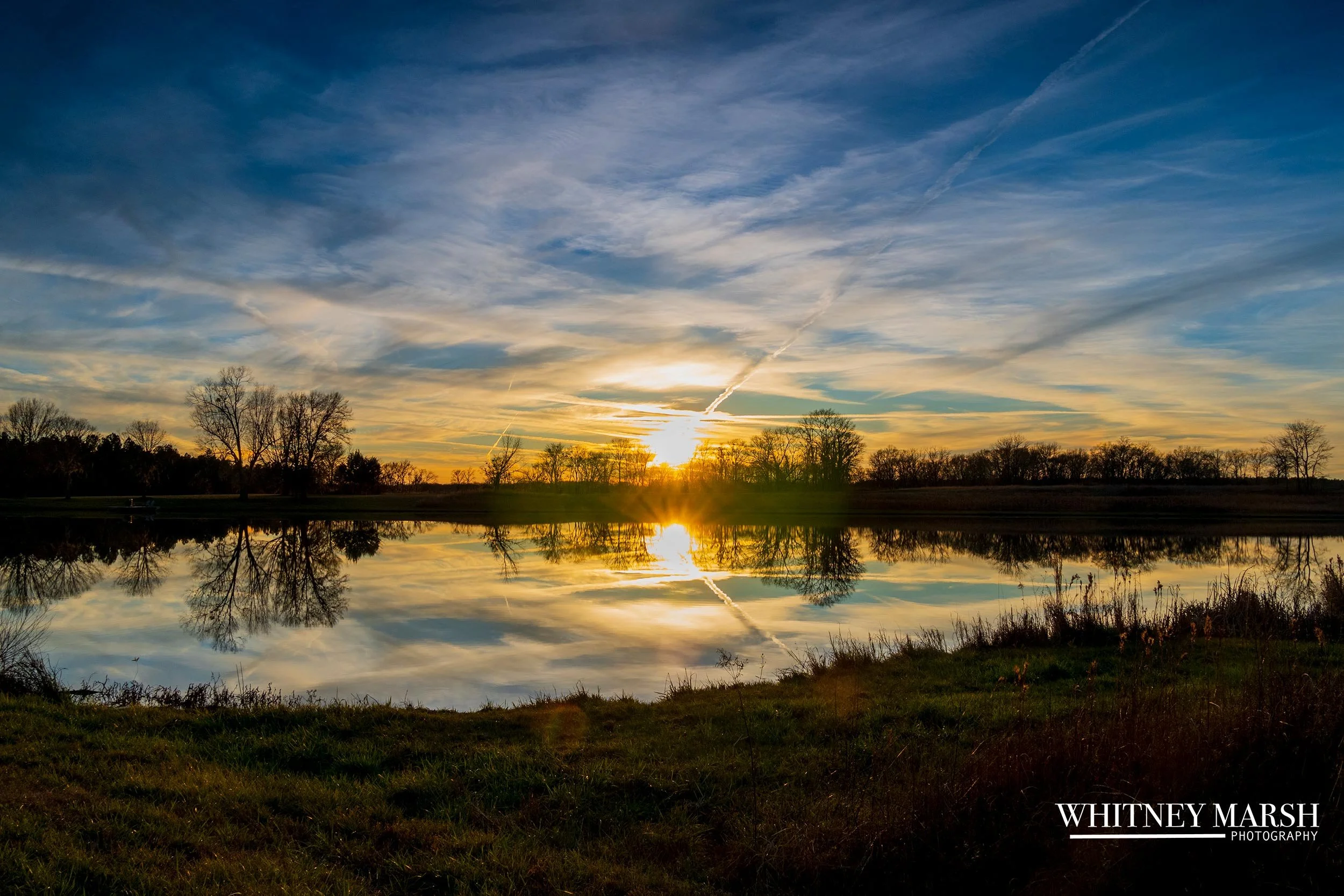 Work — WHITNEY MARSH PHOTOGRAPHY