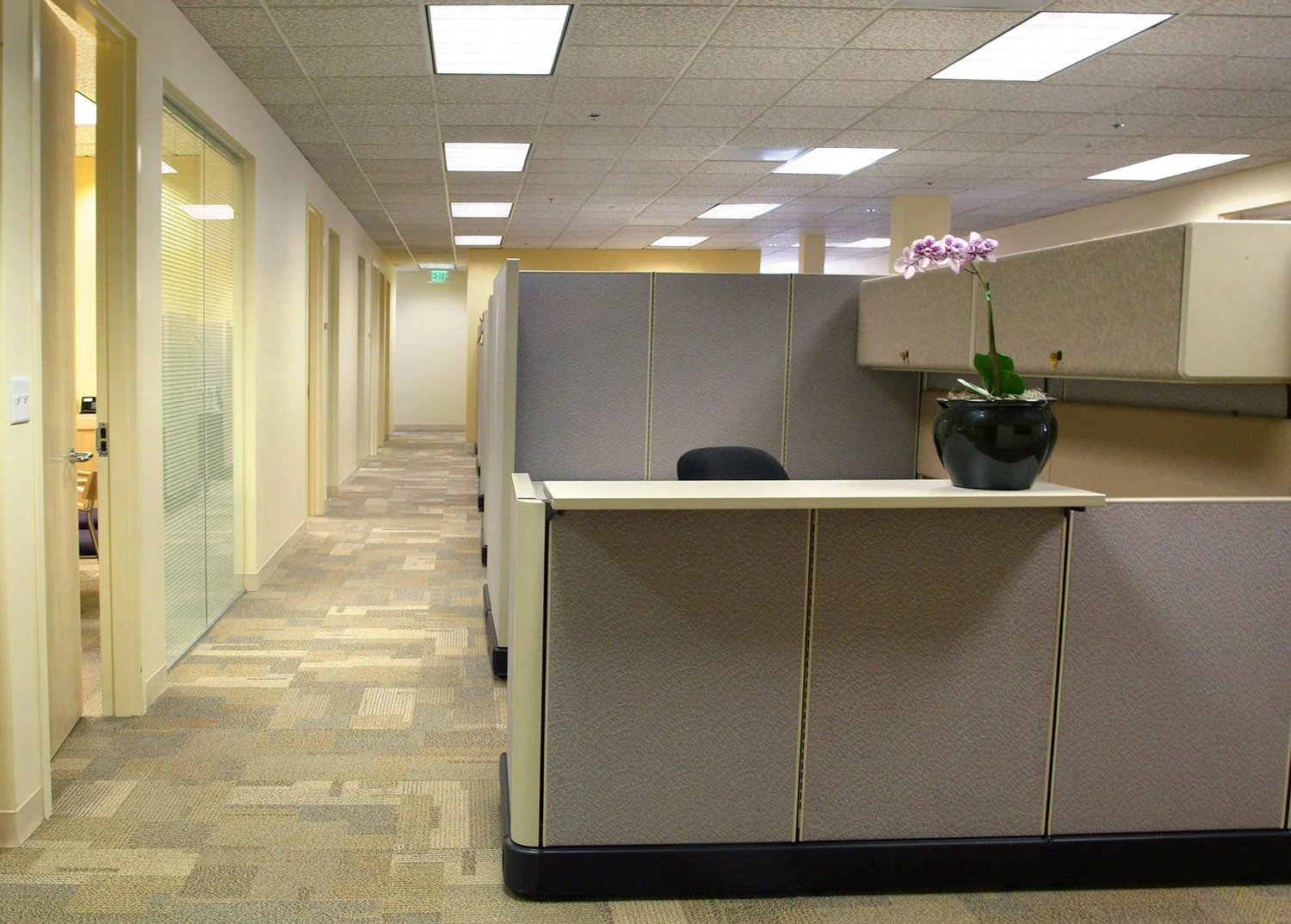 Wells Fargo Private Client — Kaplan Architects