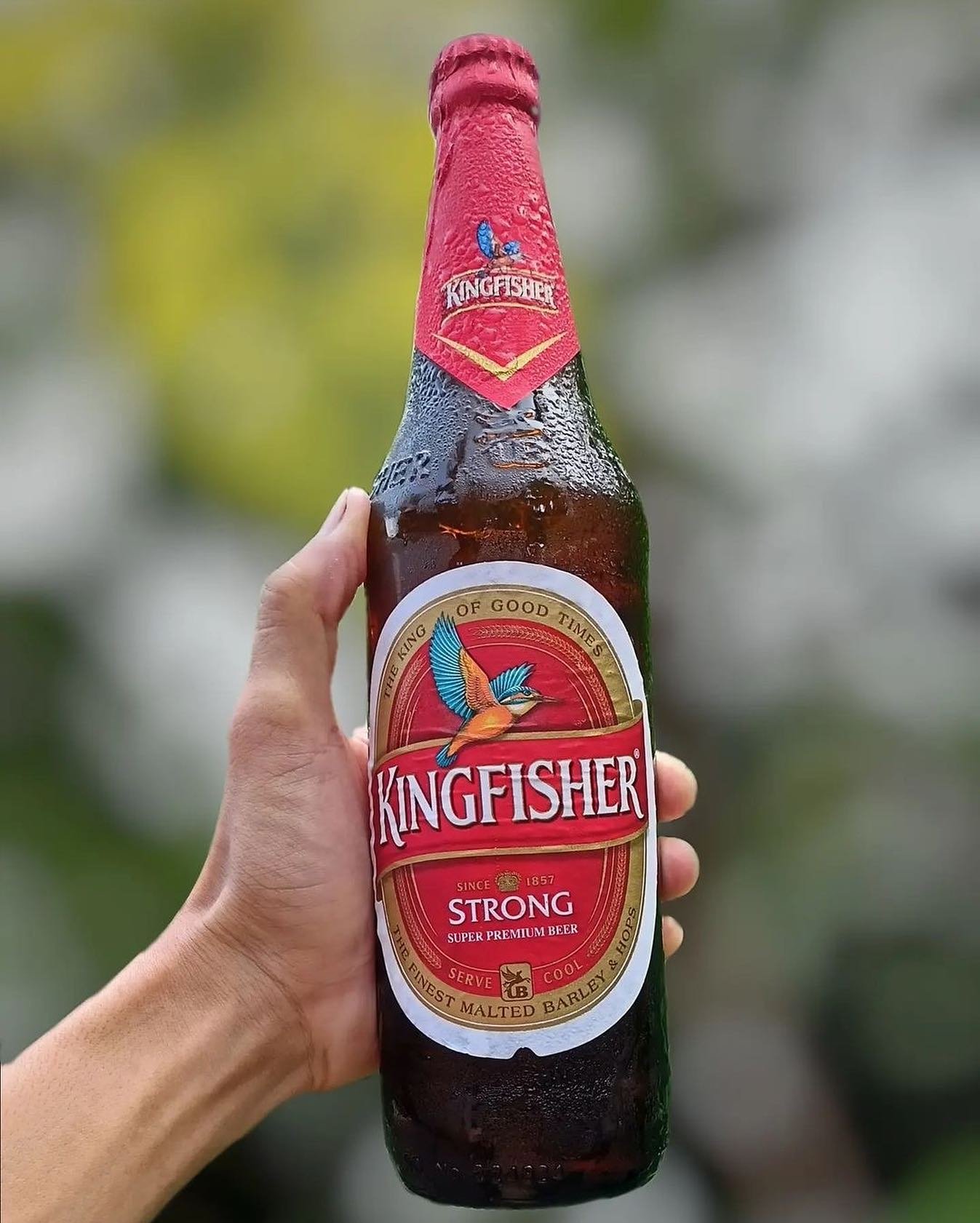 Kingfisher Strong Beer Review - Unveiling the Bold Indian Brews — OnlyCans Kingfisher Strong Beer Review - Unveiling the Bold Indian Brews — OnlyCans