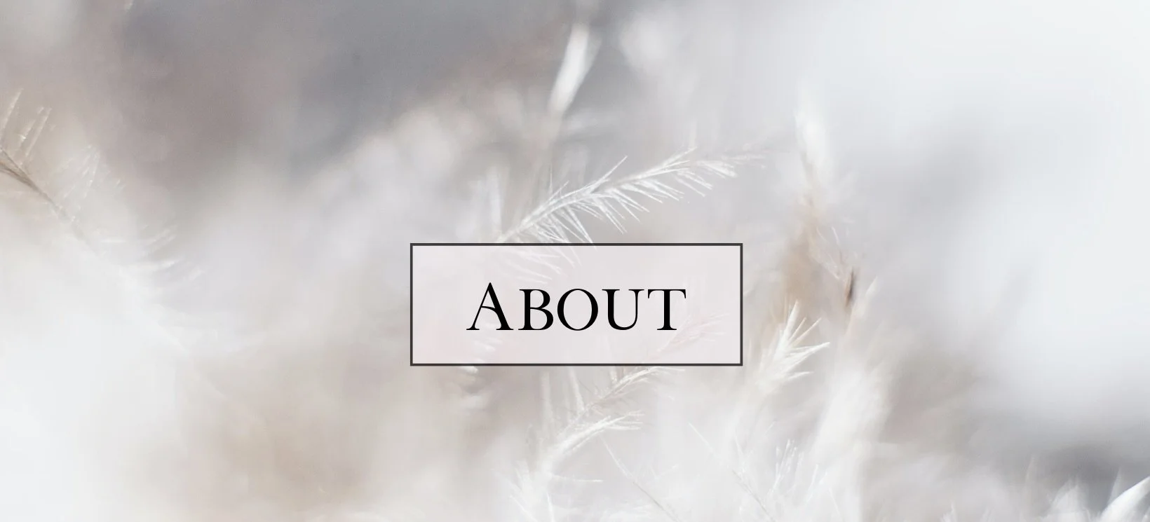 About — Jennifer Nestler