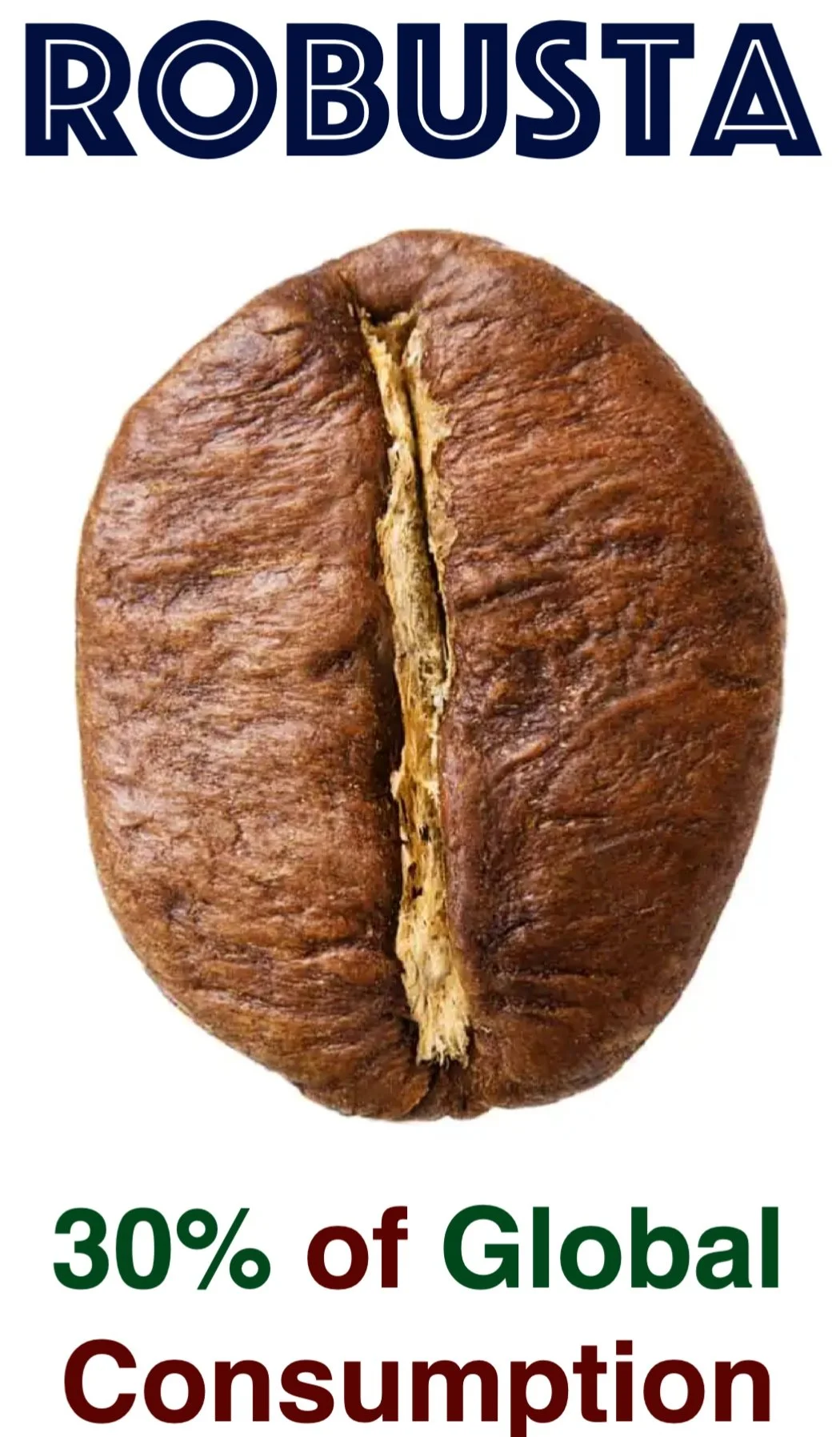 Difference Between Arabica and Robusta Coffee | Ninja Girl Coffee Company