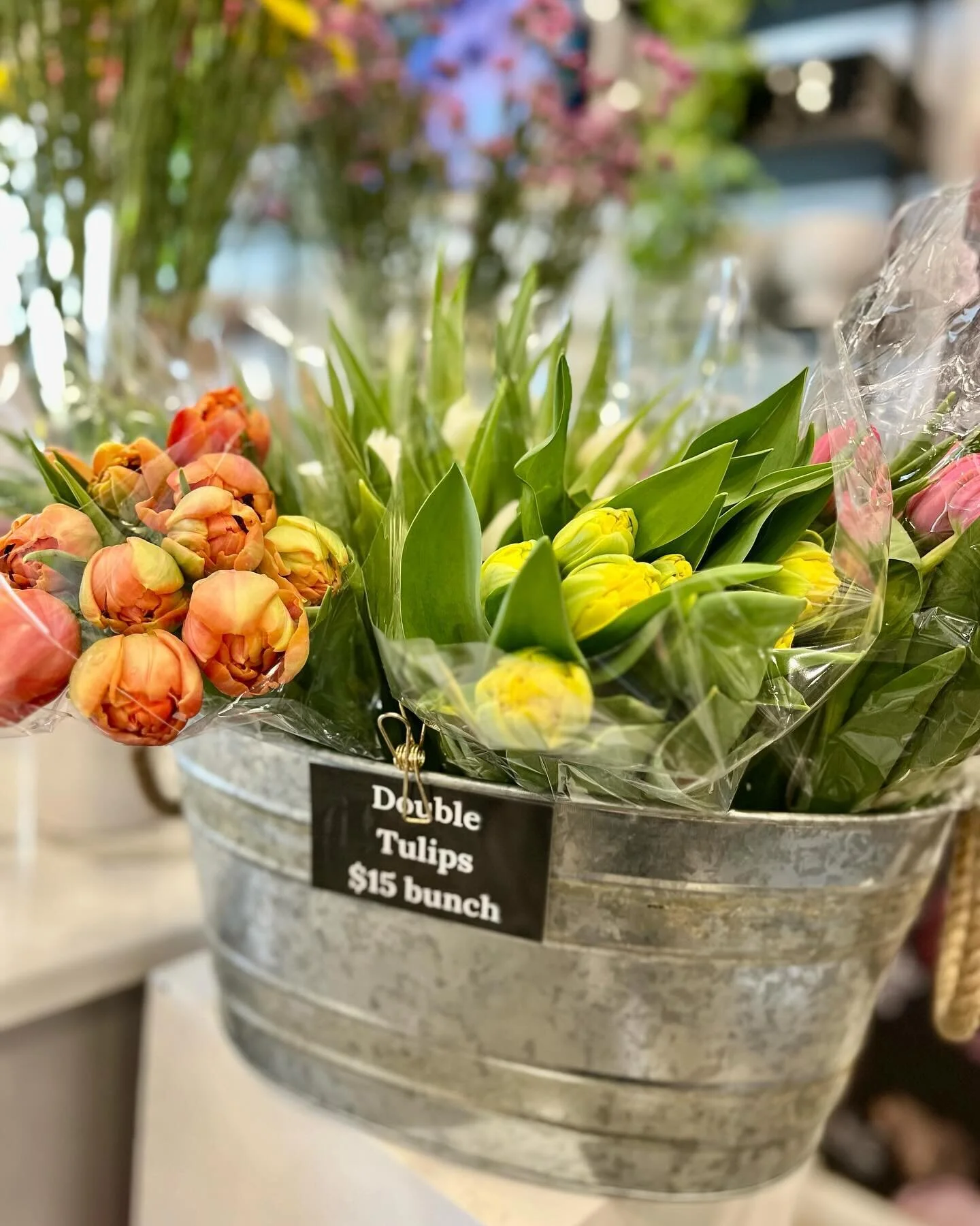 Creations by Coppola | Philly Flower Shop