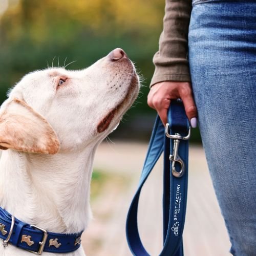 Fresh, On-Trend Appreciation Gifts — Spirit Factory Promotional Products