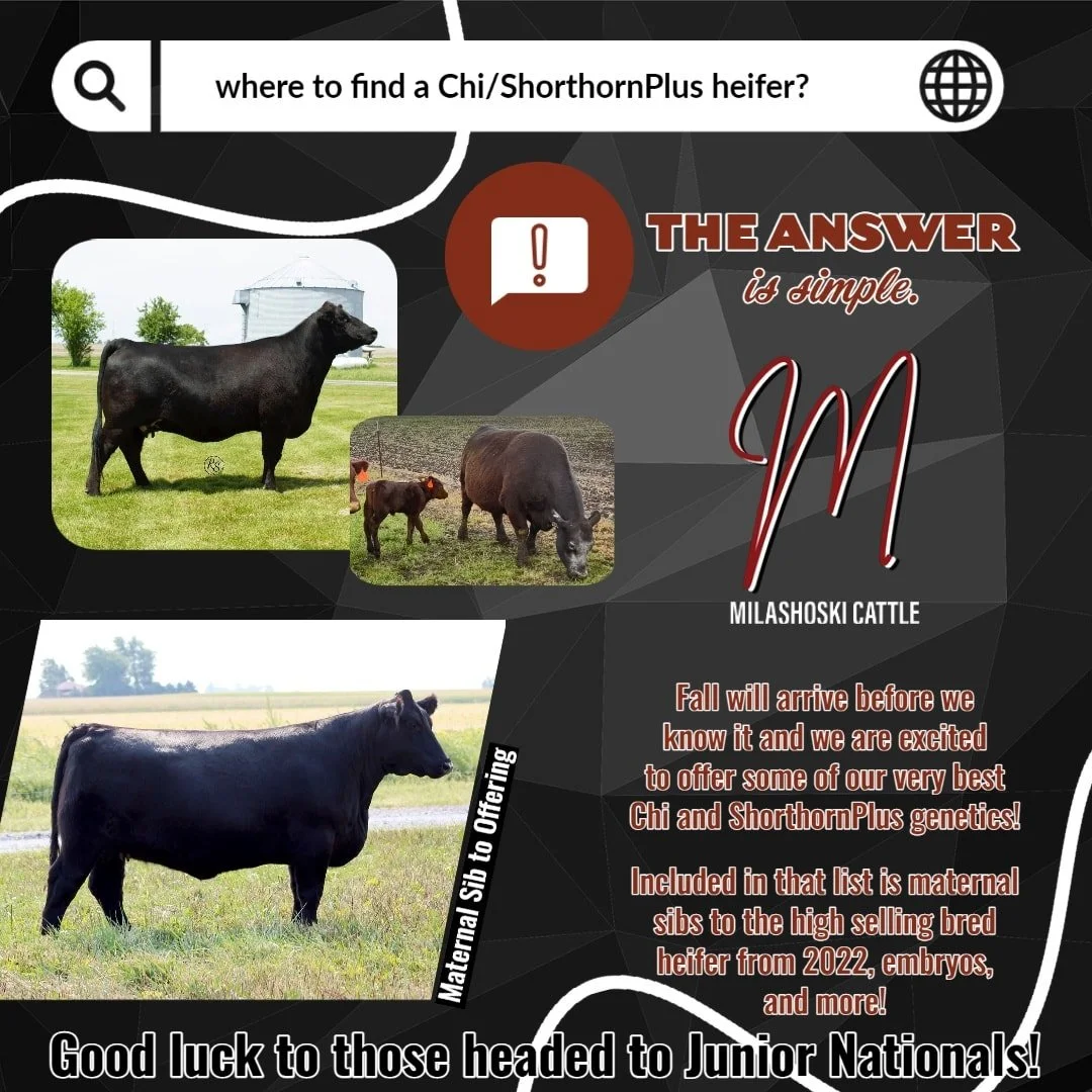 Sincere Livestock Designs