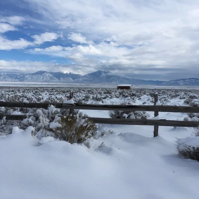 The January Playlist — ten thousand stars studio