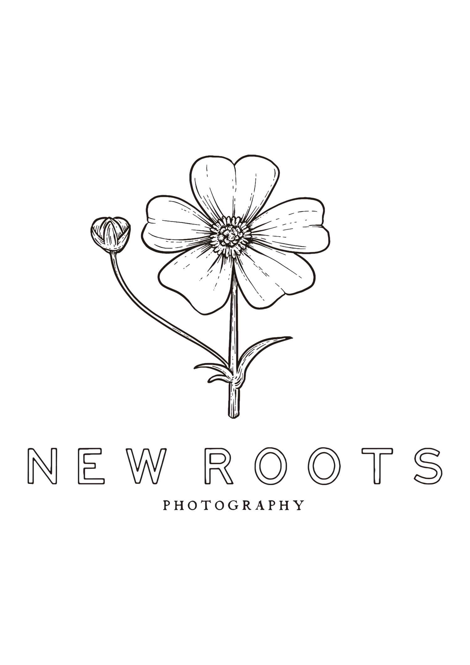 New Roots Photography