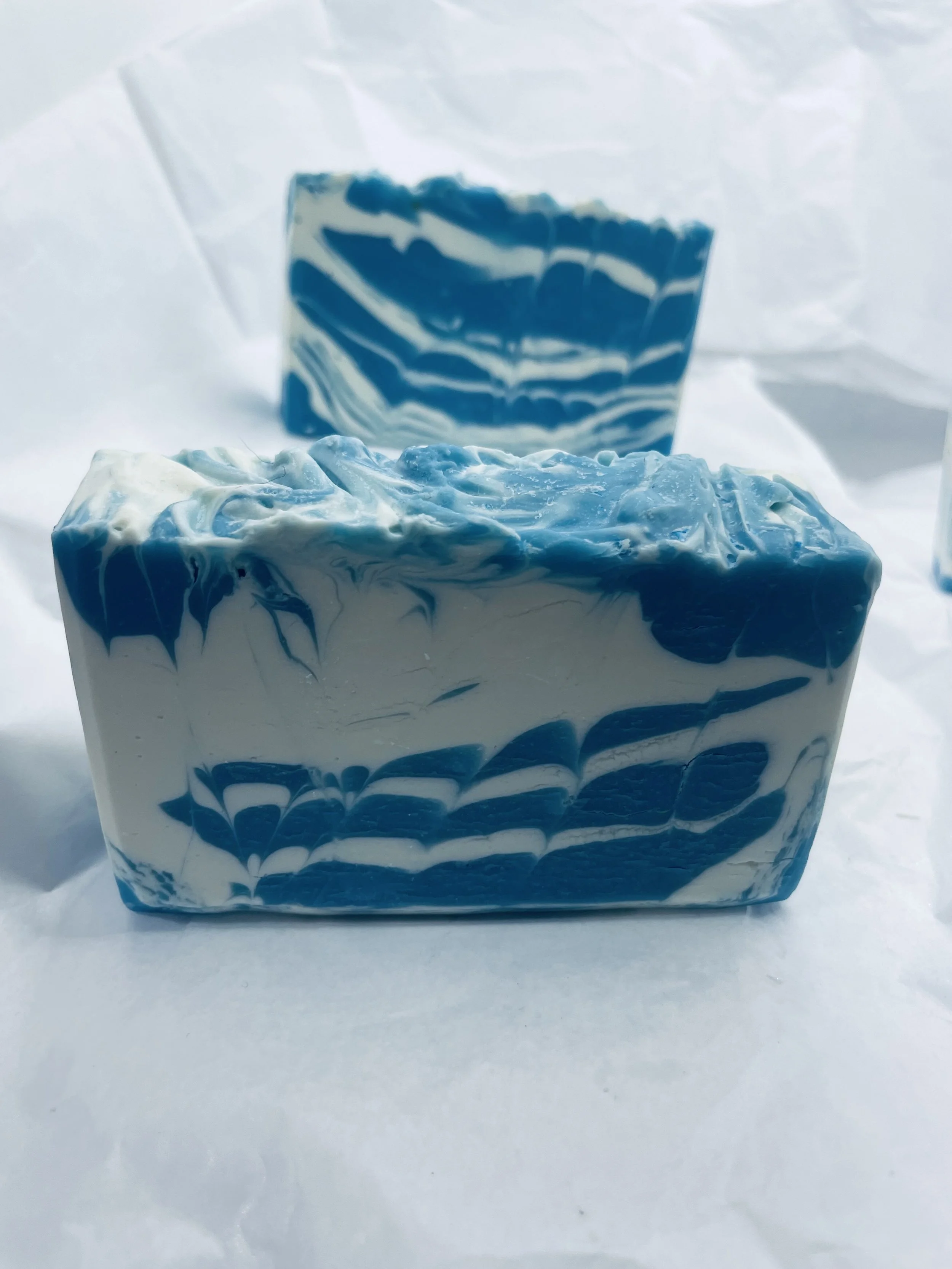 Bubbly Body Shoppe LLC