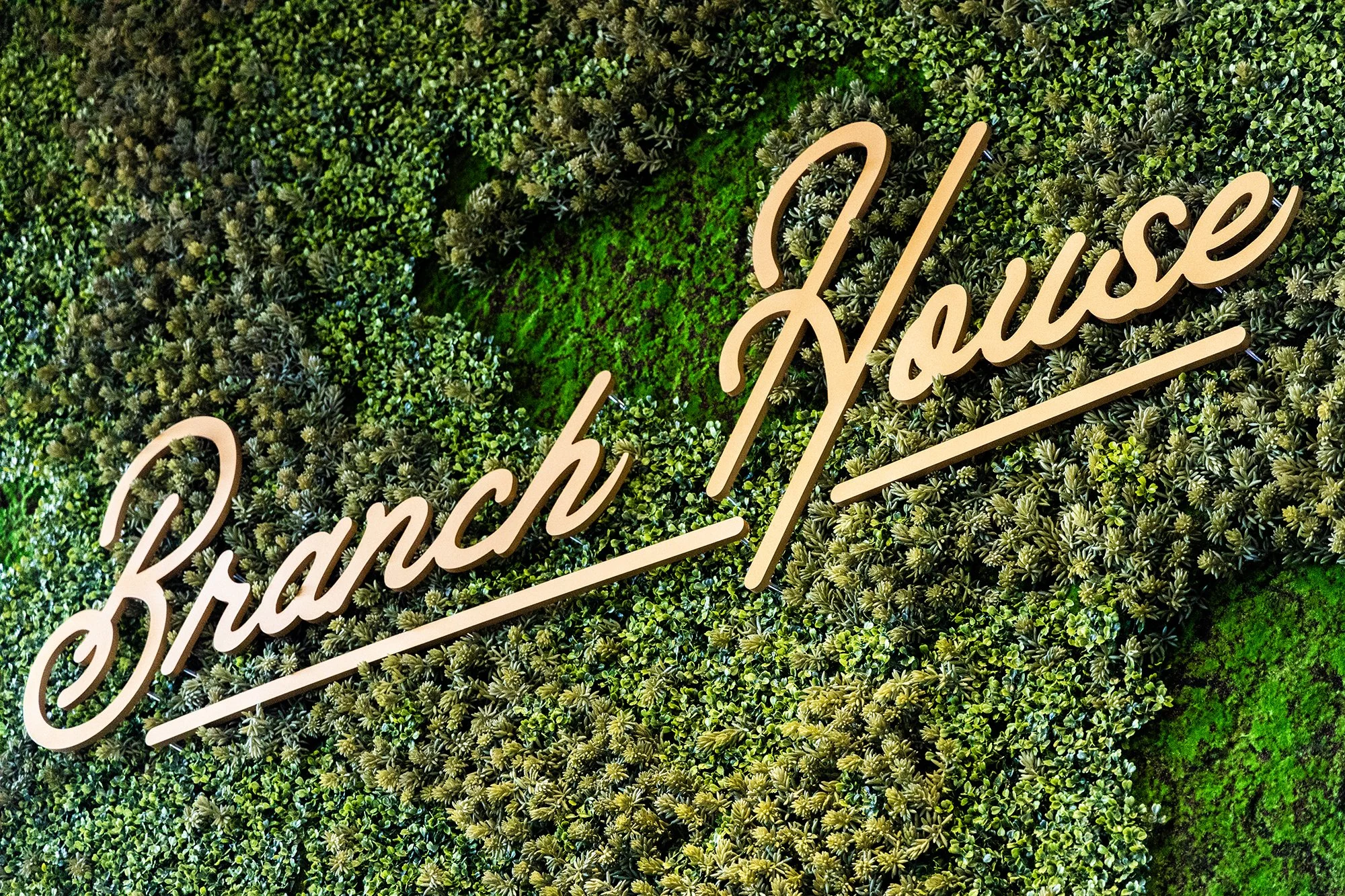 Branch House | Enjoy Riverside Dining Today