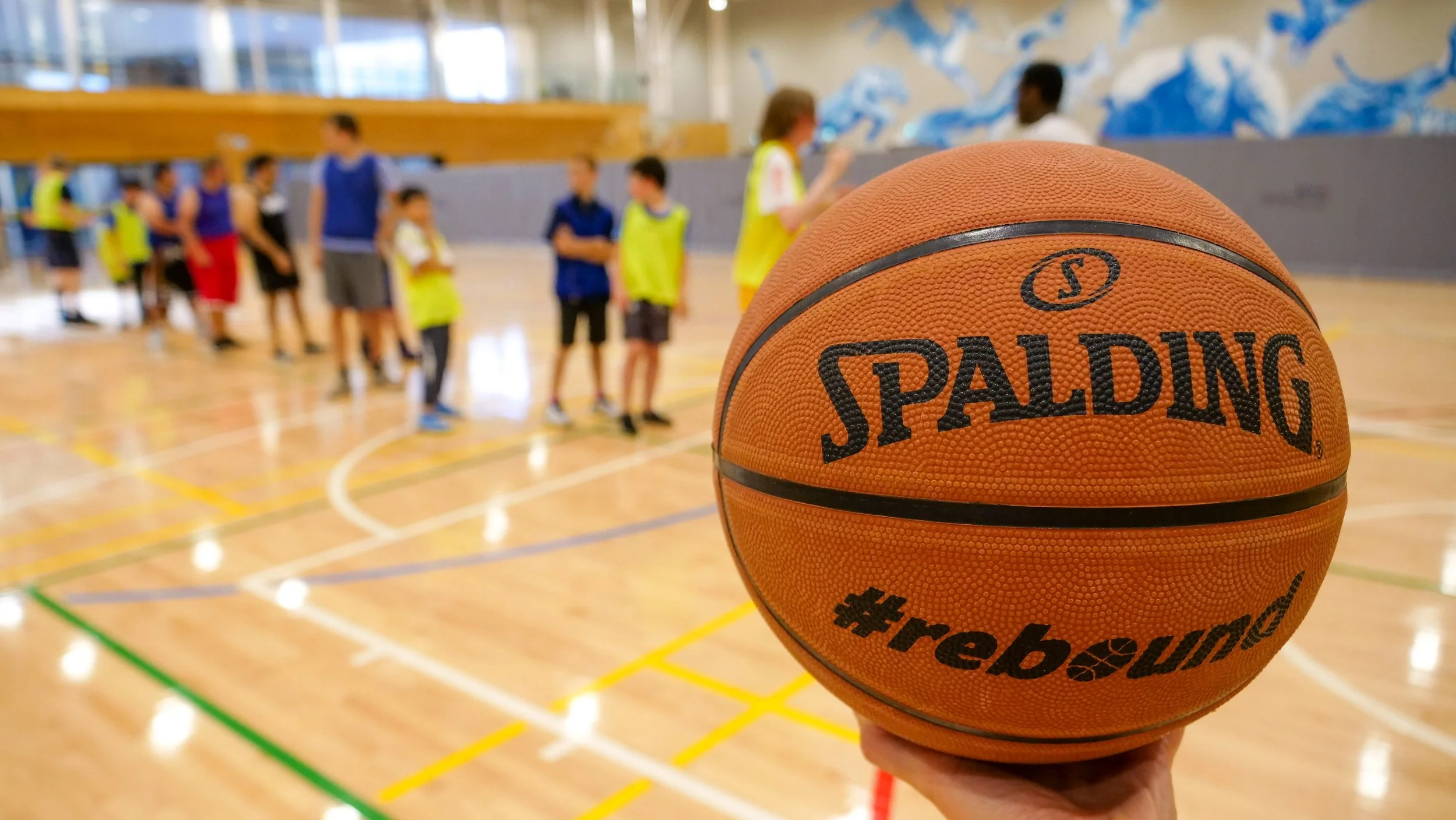Inclusive Basketball SA — One Culture Support Services