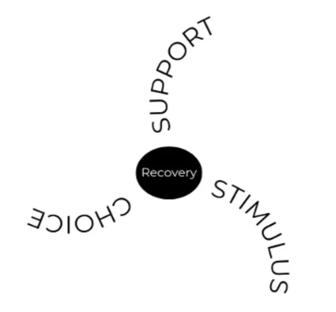 Triple Point: How I've Come to Understand My Recovery - Project HEAL
