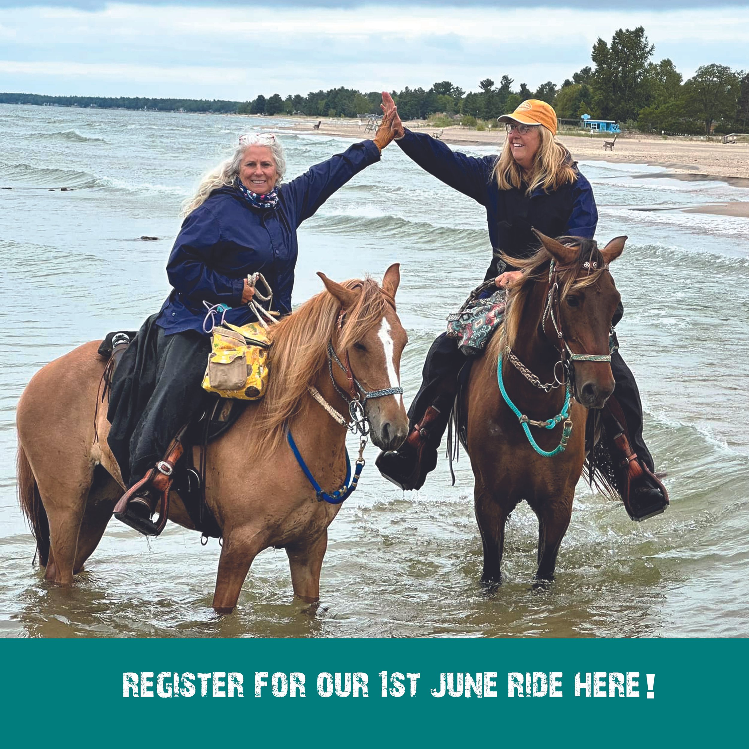 Store 1 — mtra.org