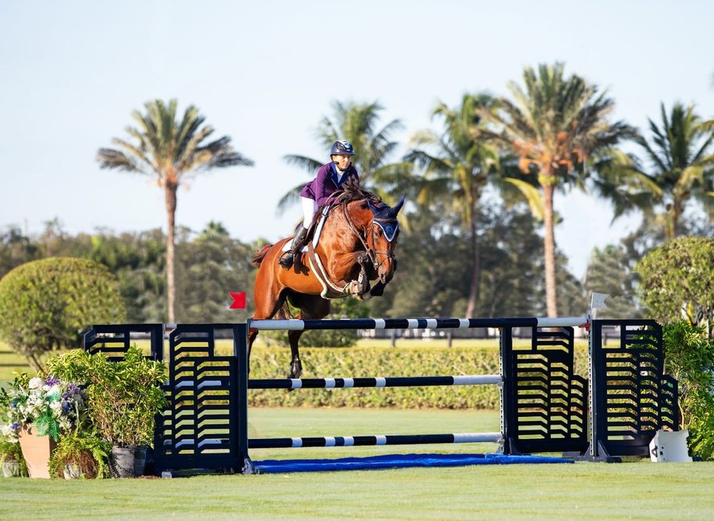 Capillary Equestrian — Centaur Asia Pacific