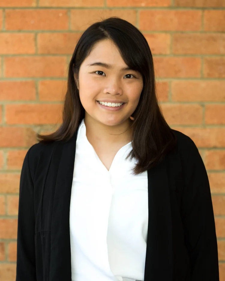 Team — Development Directive