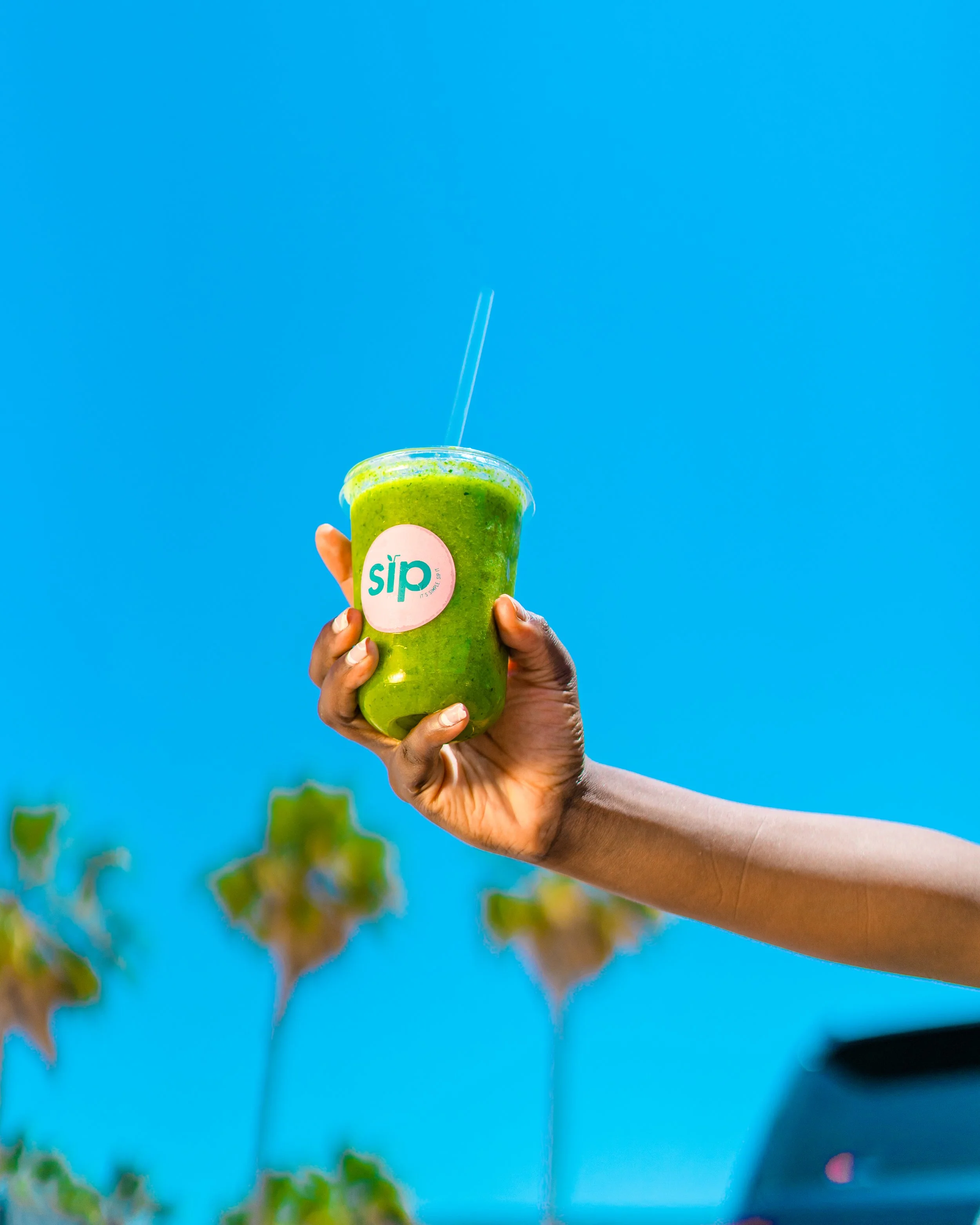 Our Work | Zest Creative Co — Zest Creative Co