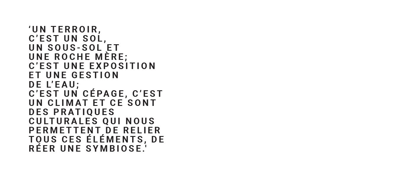 Over ons — Vitis Vin