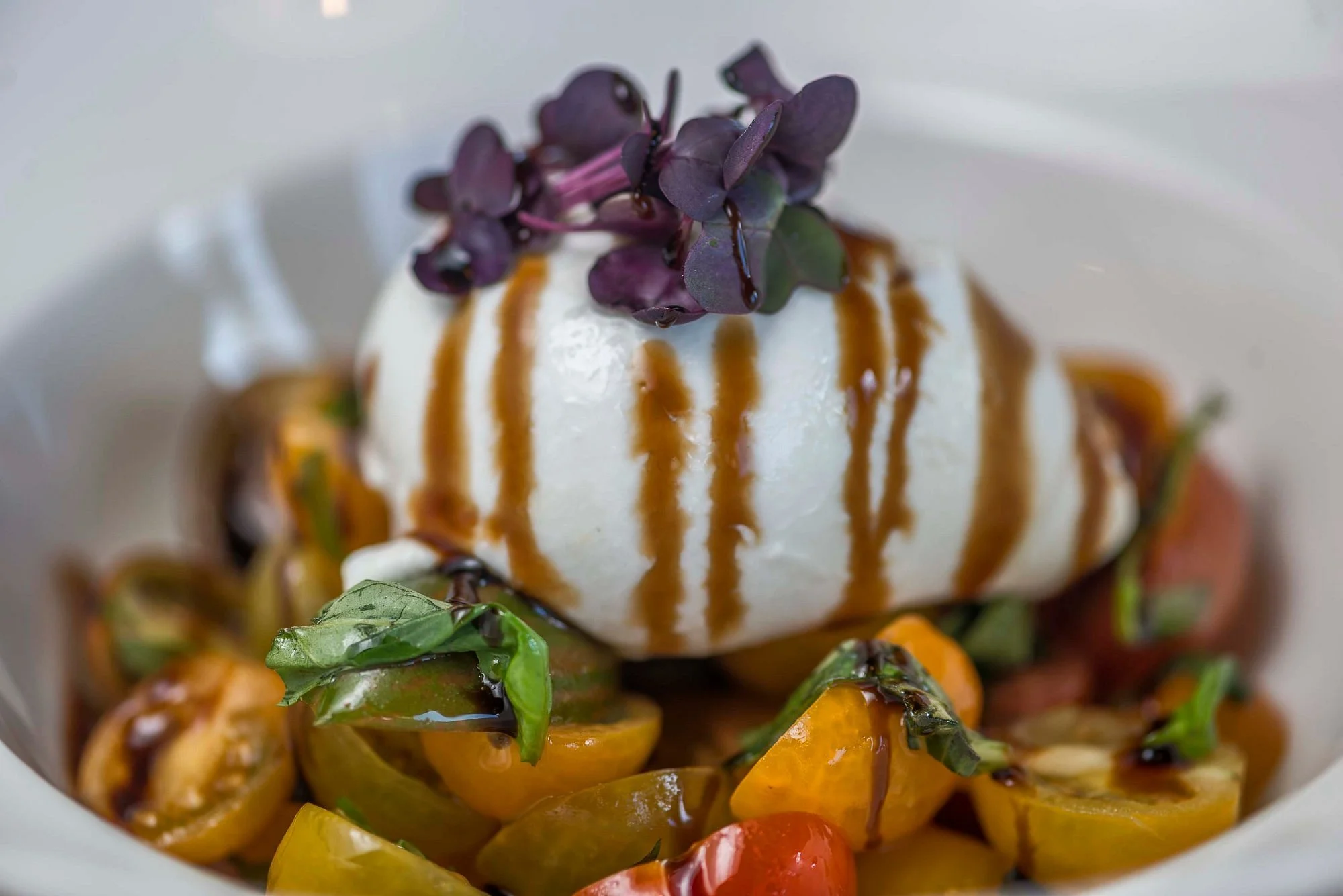 Boiler House Restaurant — BLUE MOUNTAINS WRITERS' FESTIVAL