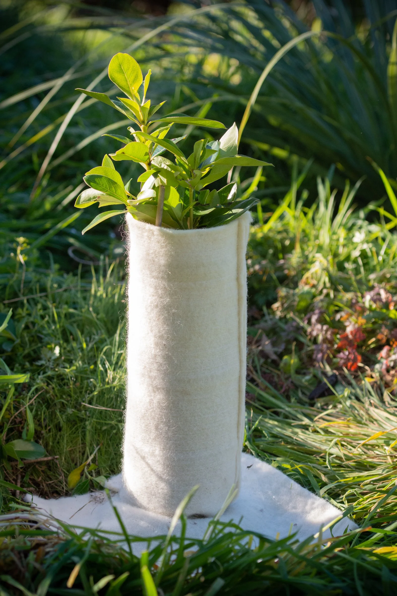 Sustaina Grow: Wool Tree Guards, Wool Mulch Mats, Wool Garden Products ...