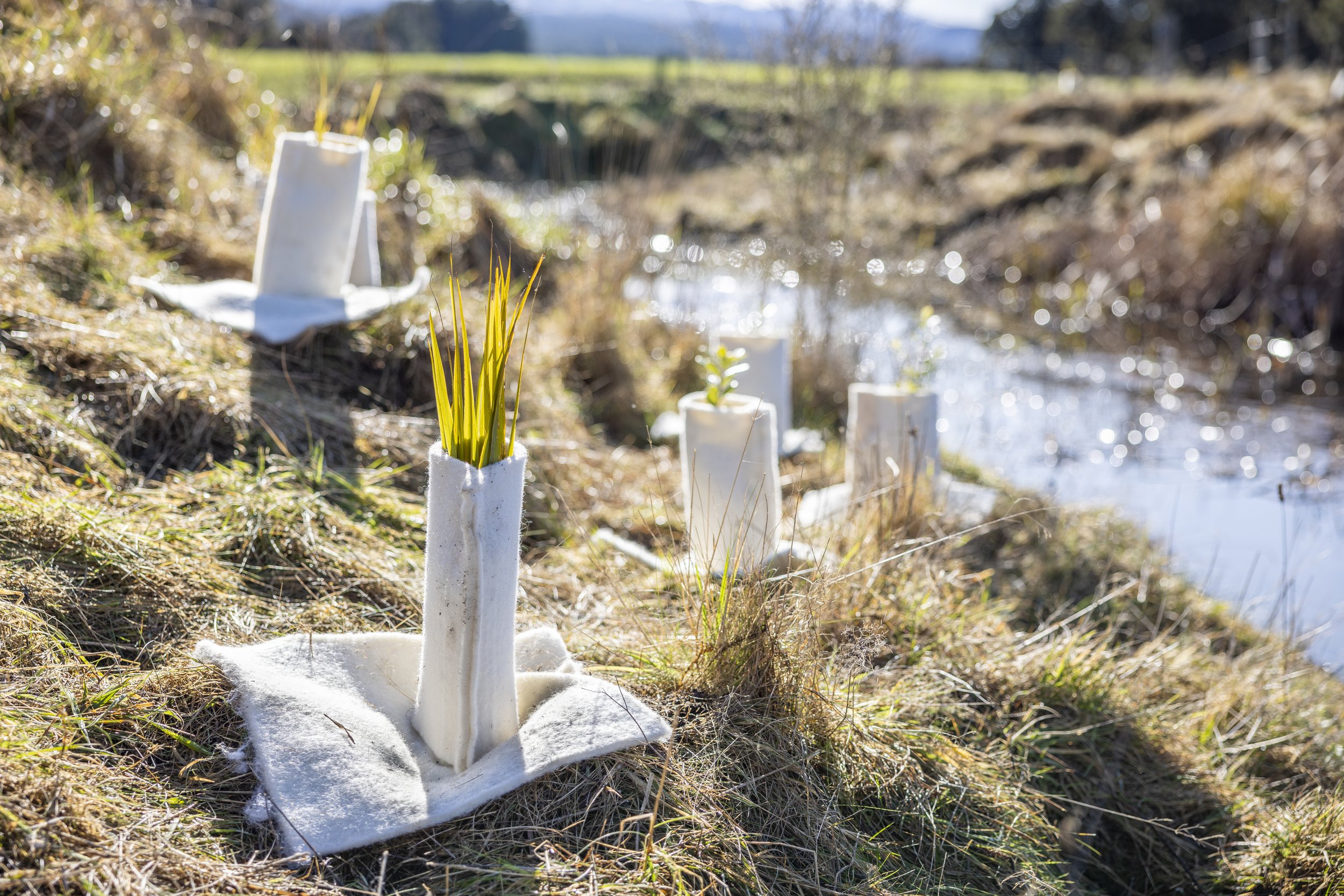 Sustaina Grow: Wool Tree Guards, Wool Mulch Mats, Wool Garden Products ...