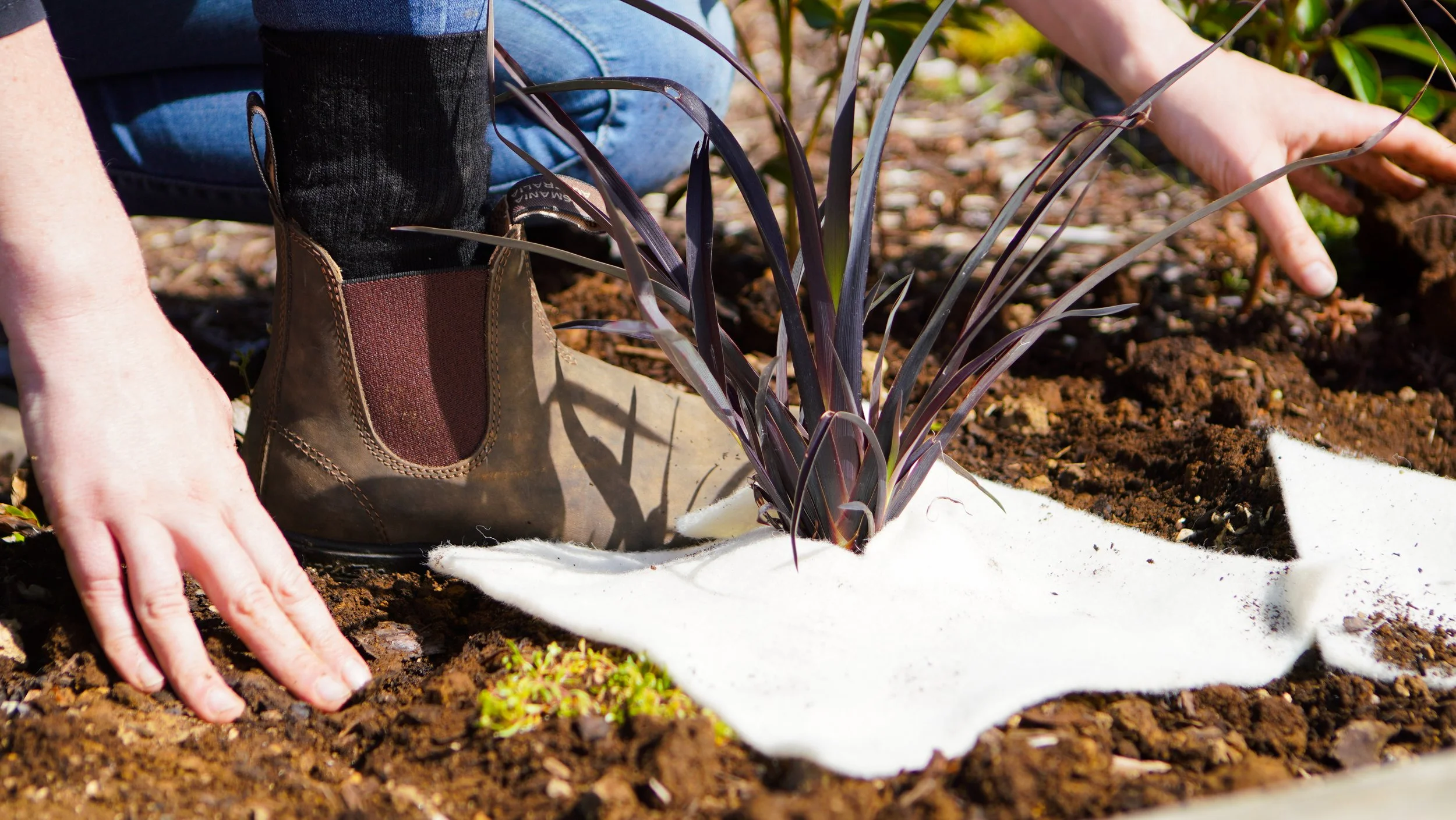 Sustaina Grow: Wool Tree Guards, Wool Mulch Mats, Wool Garden Products ...