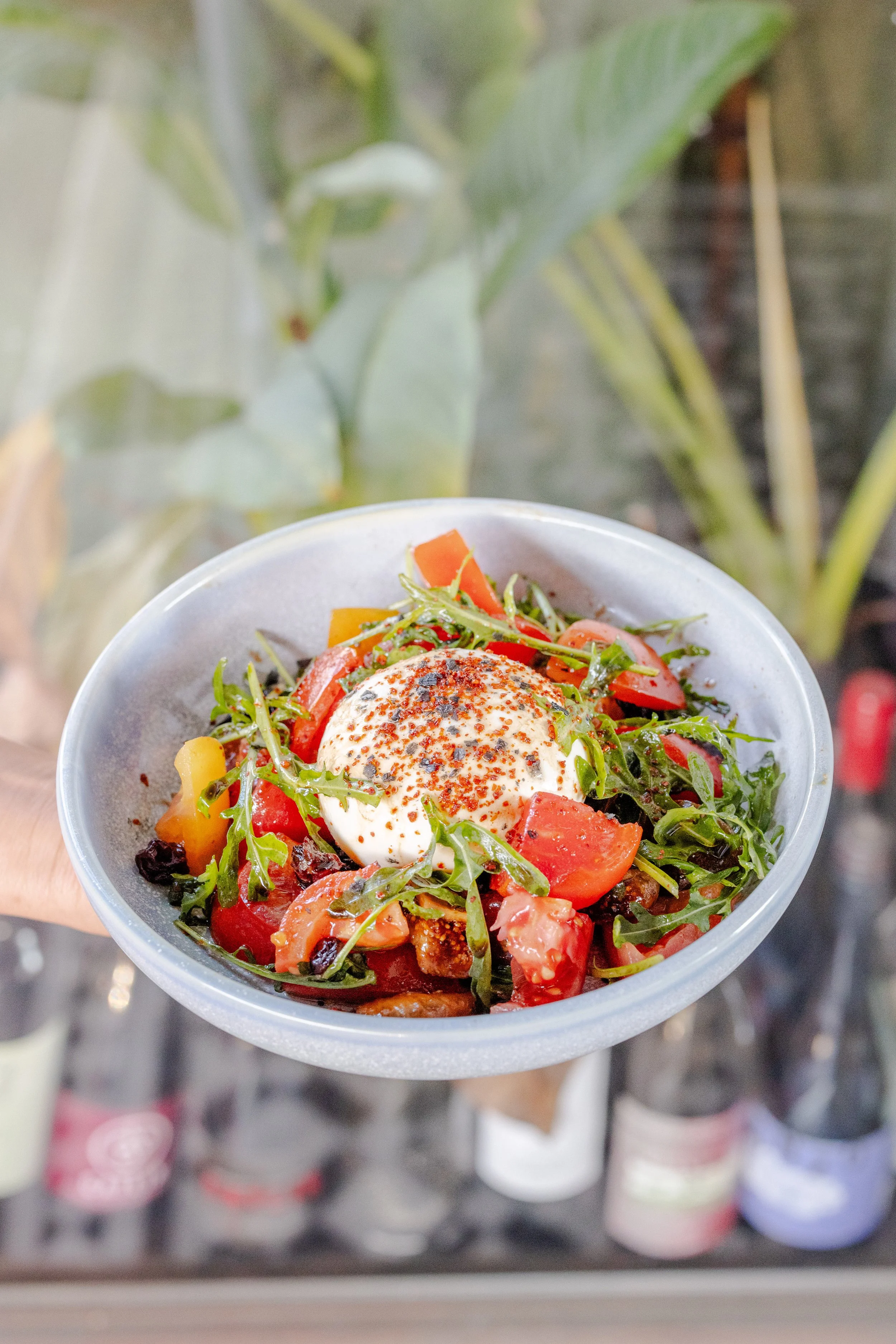 Menu | Lums Wine Bar | Subiaco — Lums