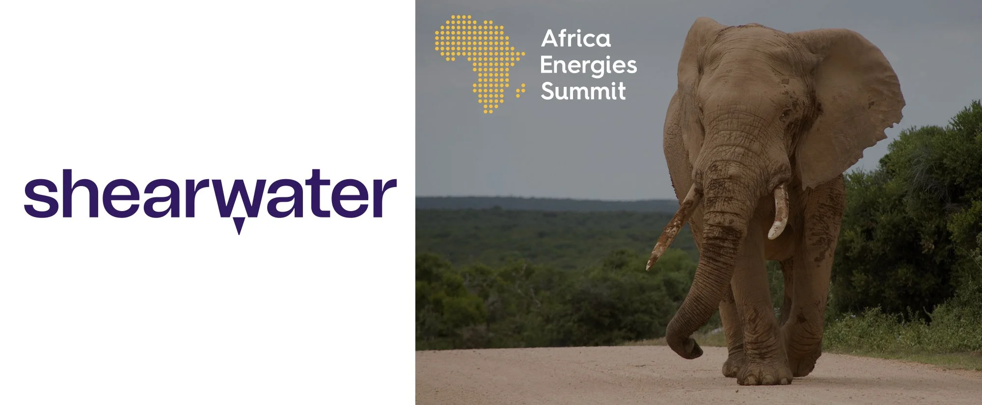 Shearwater Joins Africa Energies Summit as Registration Sponsor ...