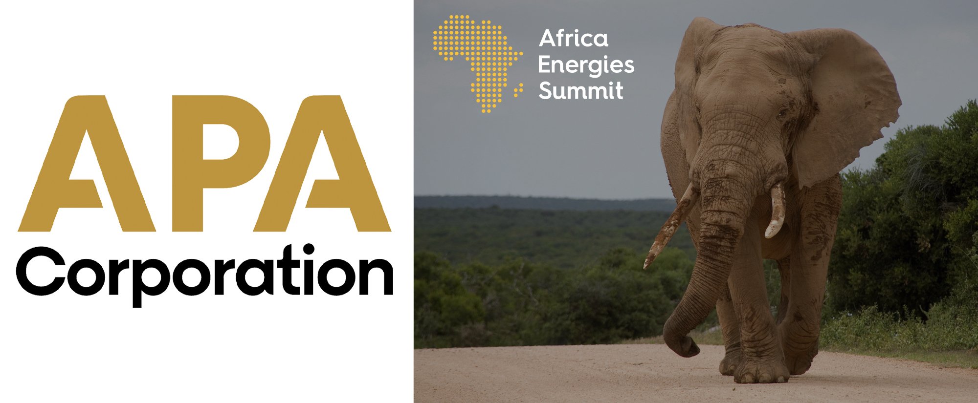 APA Corporation Joins Africa Energies Summit as Bronze Sponsor ...