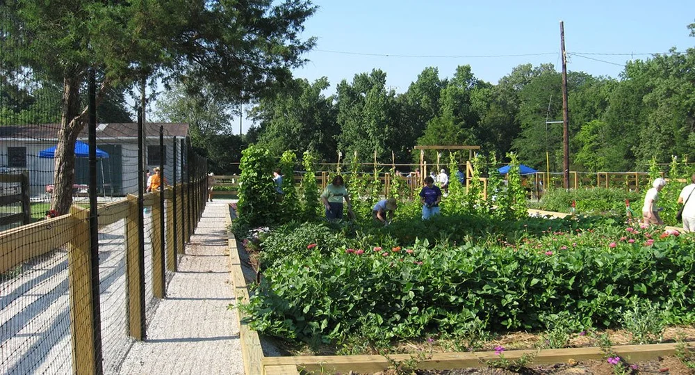 Lanier Farm Park — DT design studio