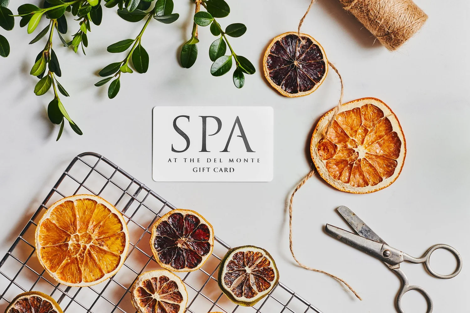 Packages — The Spa at the Del Monte