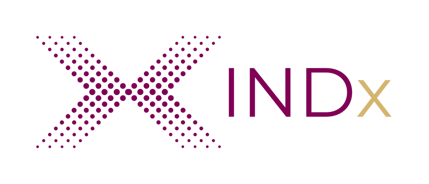 INDx Talent Solutions | Evidence-Based, Results-Driven