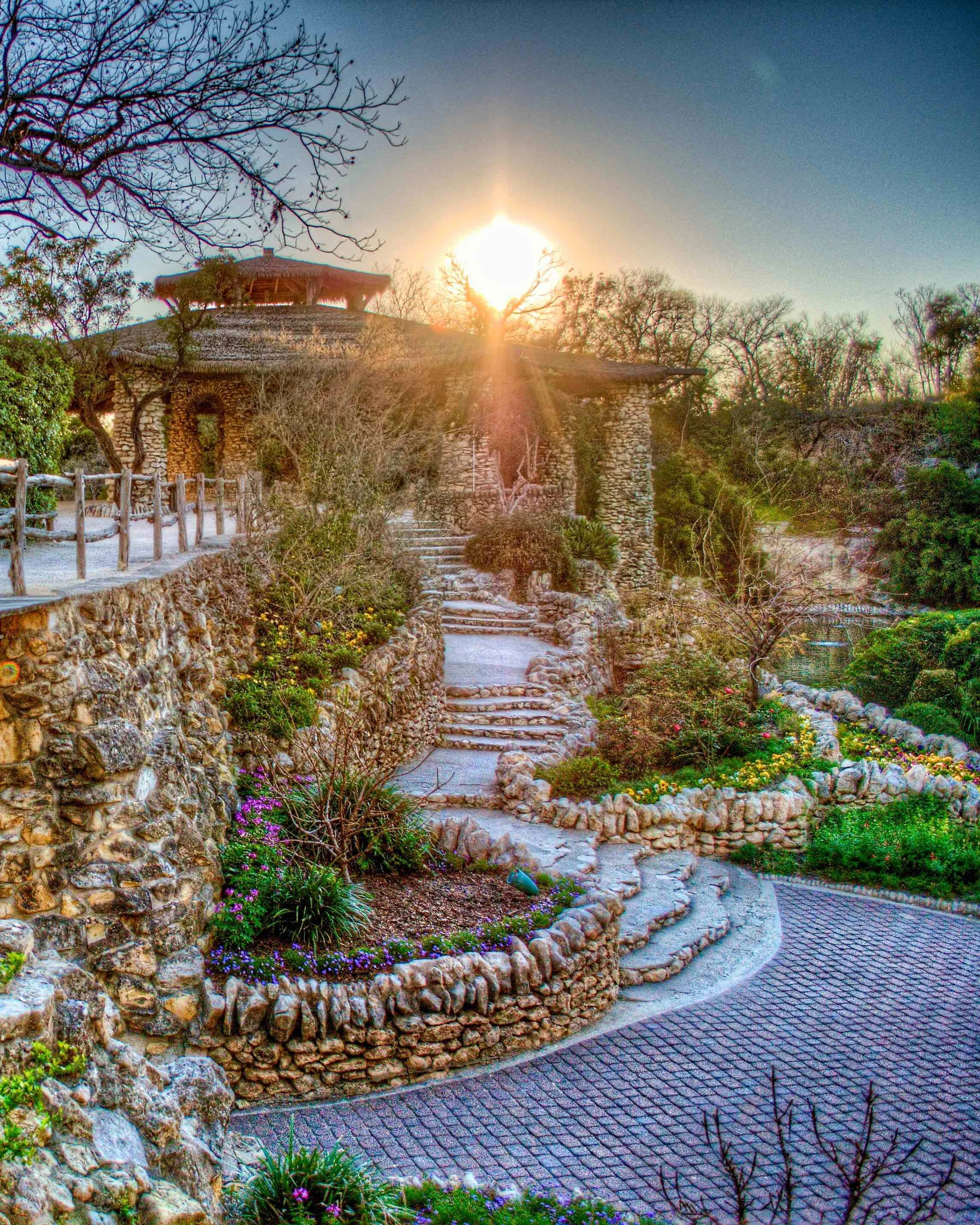 Jingu House | Japanese Food with a Mexican Twist | San Antonio Zoo ...