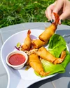 Jingu House | Asian Food with a Mexican Twist | San Antonio Zoo | Witte ...