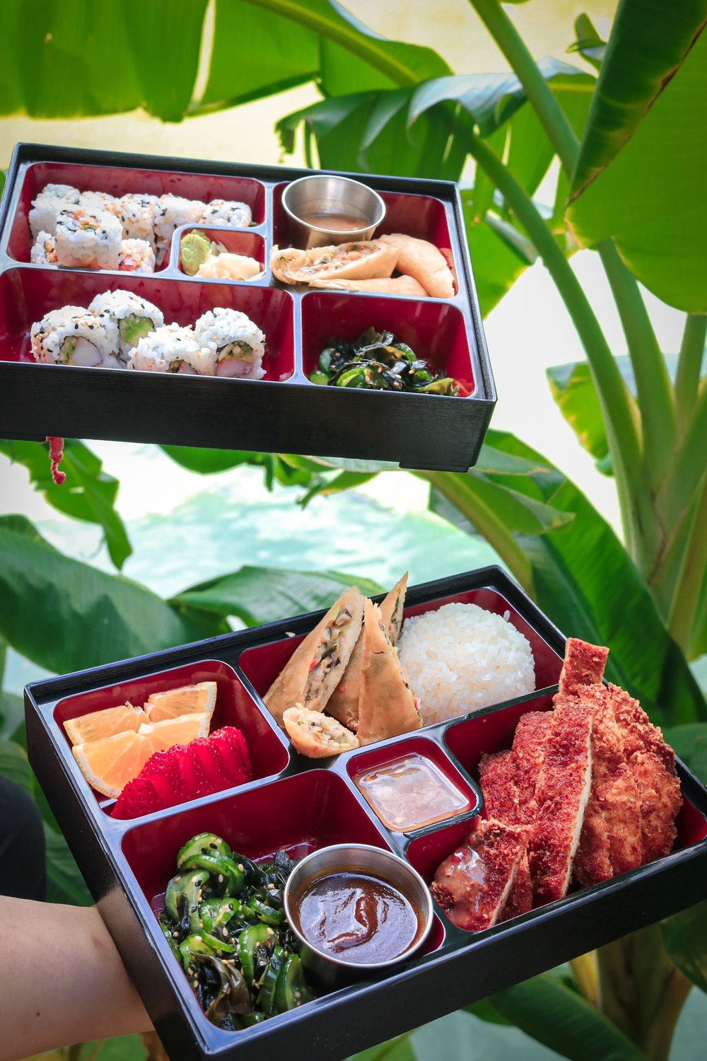 Jingu House | Japanese Food with a Mexican Twist | San Antonio Zoo ...