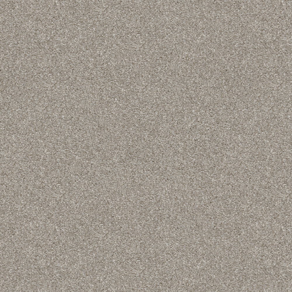 Color Book — HOMEstretch