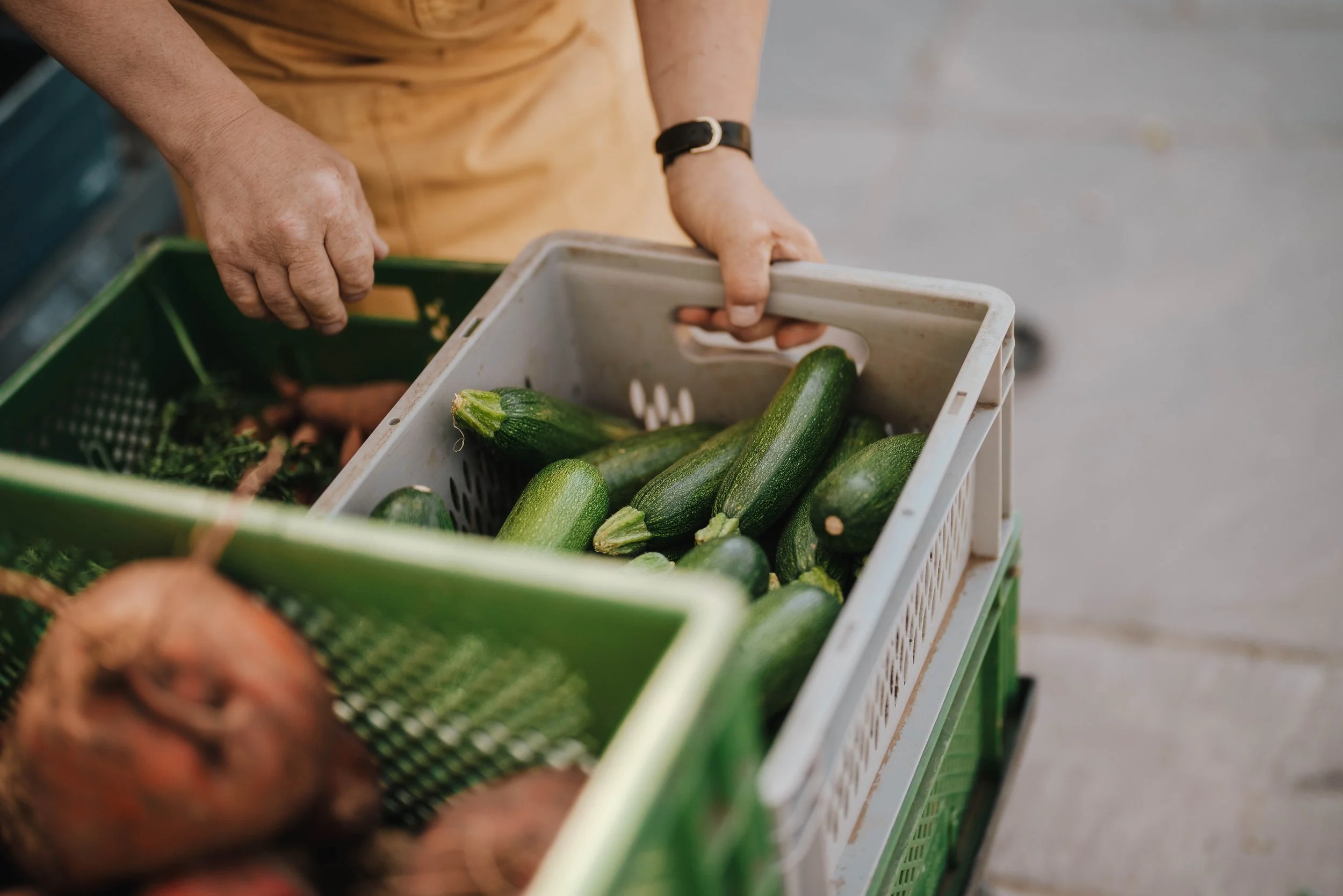 The Bounty of the Season: Why Eating Seasonal Fruits and Vegetables ...
