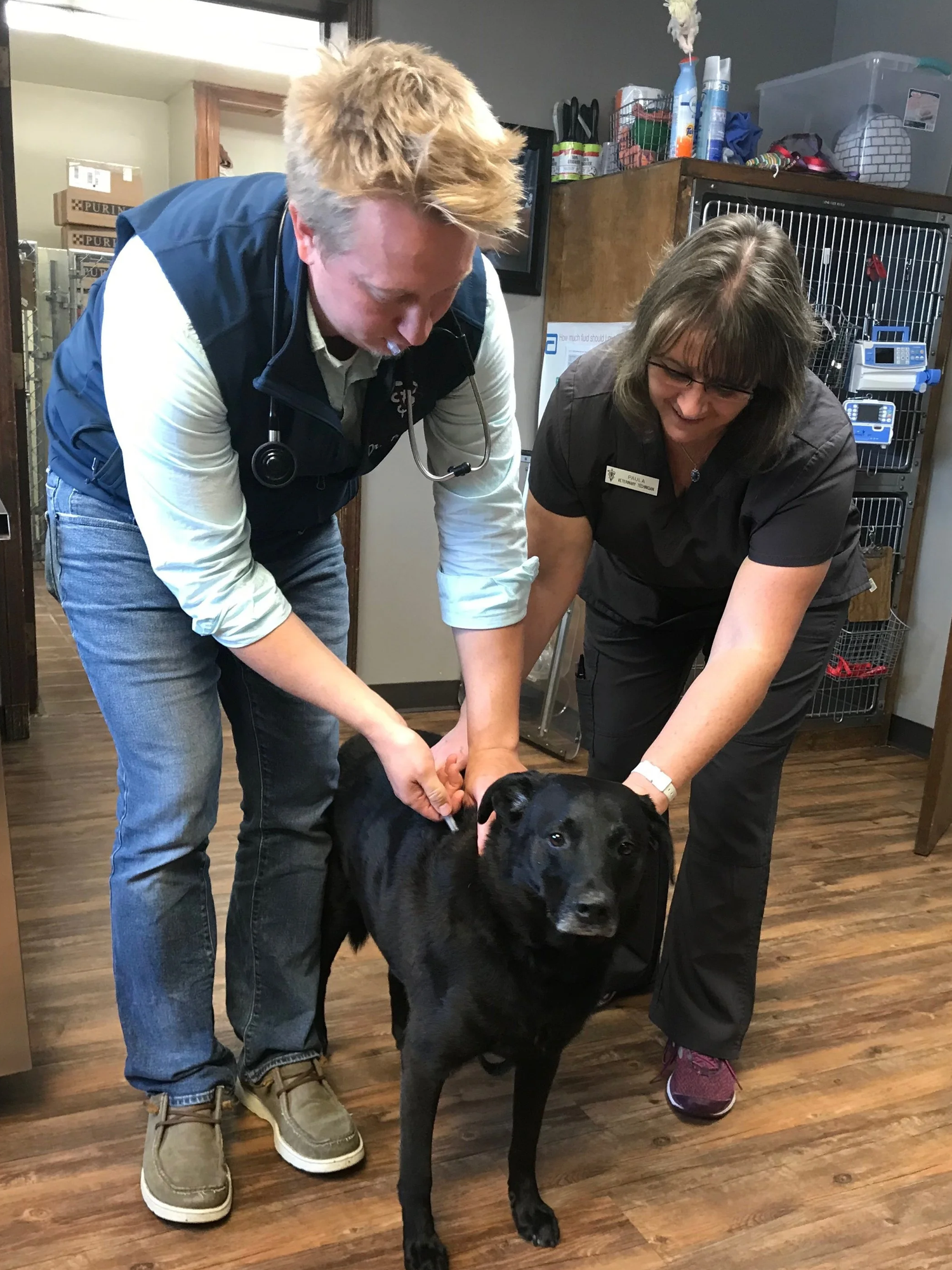 Printz Veterinary Services