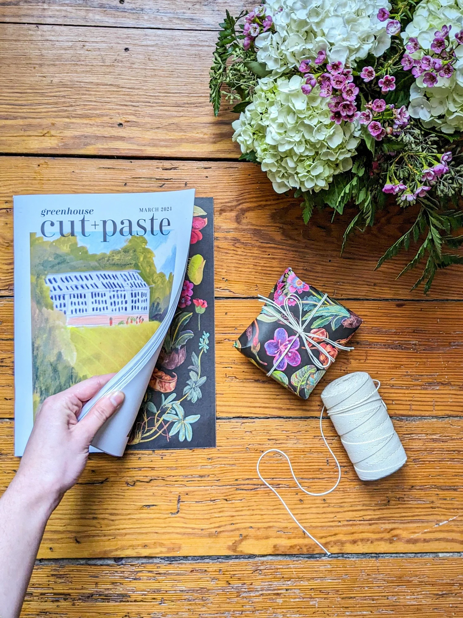 Shop | Explore & Shop Today — Cut+Paste Magazine