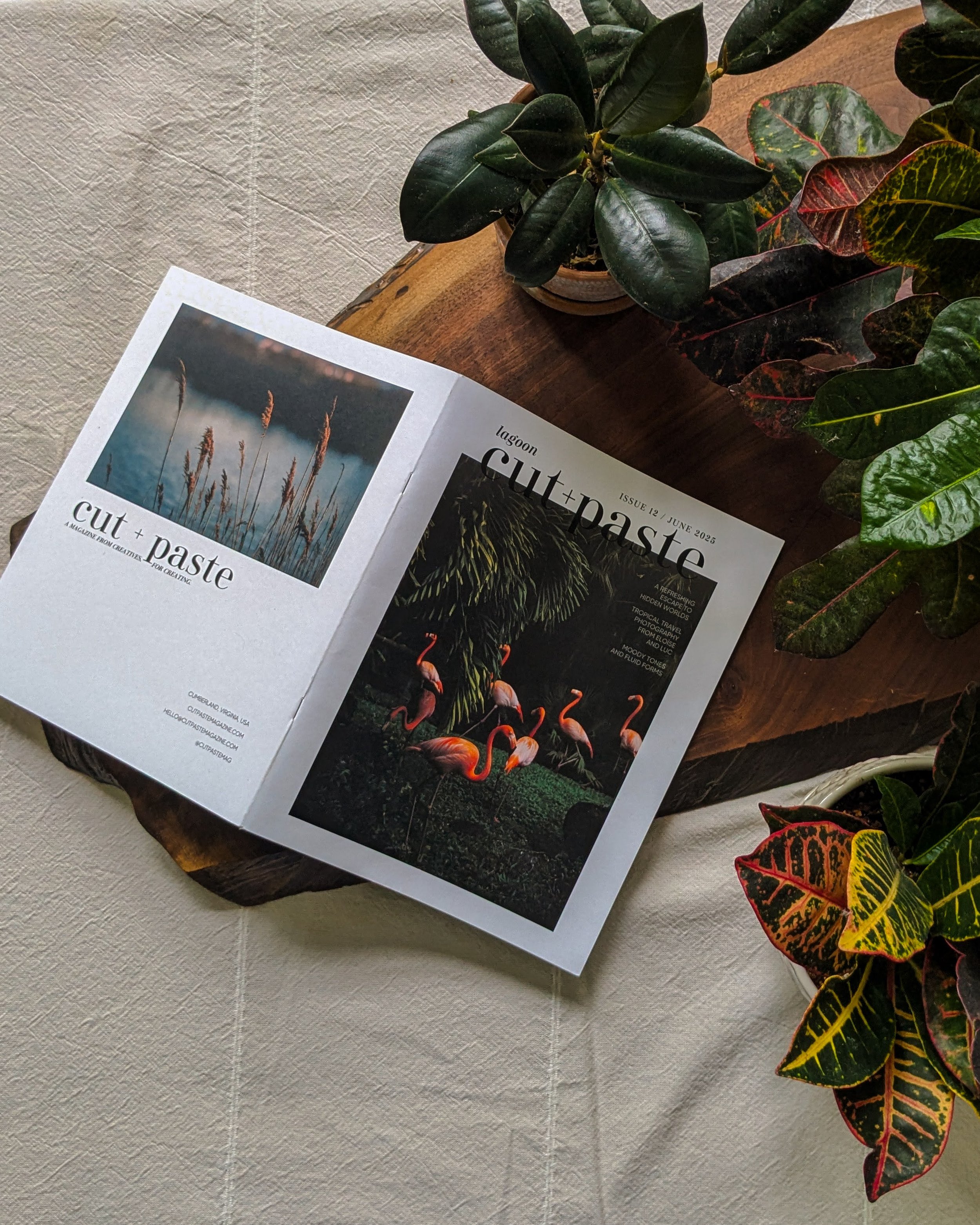 Cut+Paste Magazine