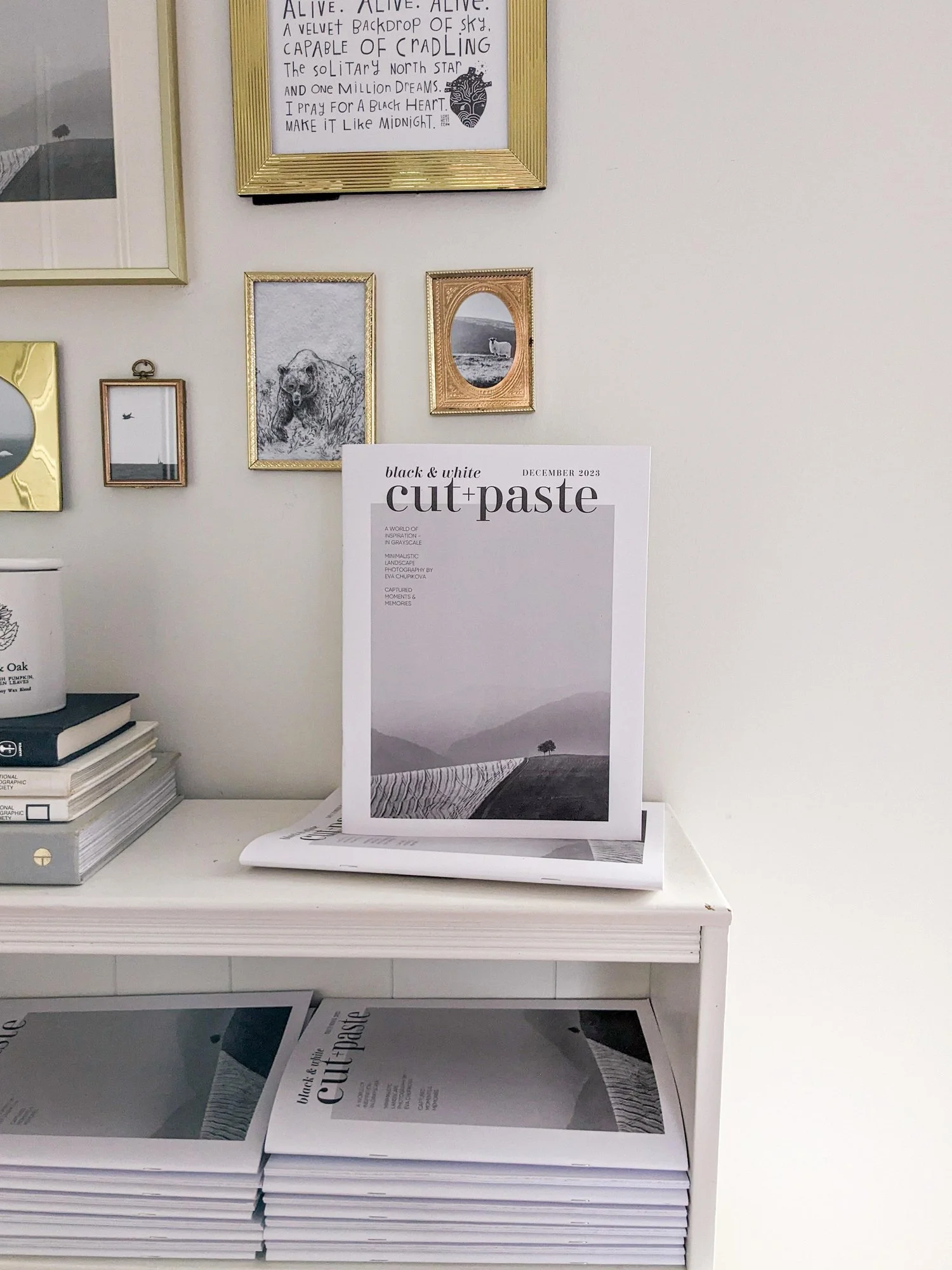 Shop | Explore & Shop Today — Cut+Paste Magazine