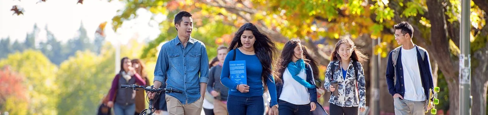 Education — BC Brain Wellness Program