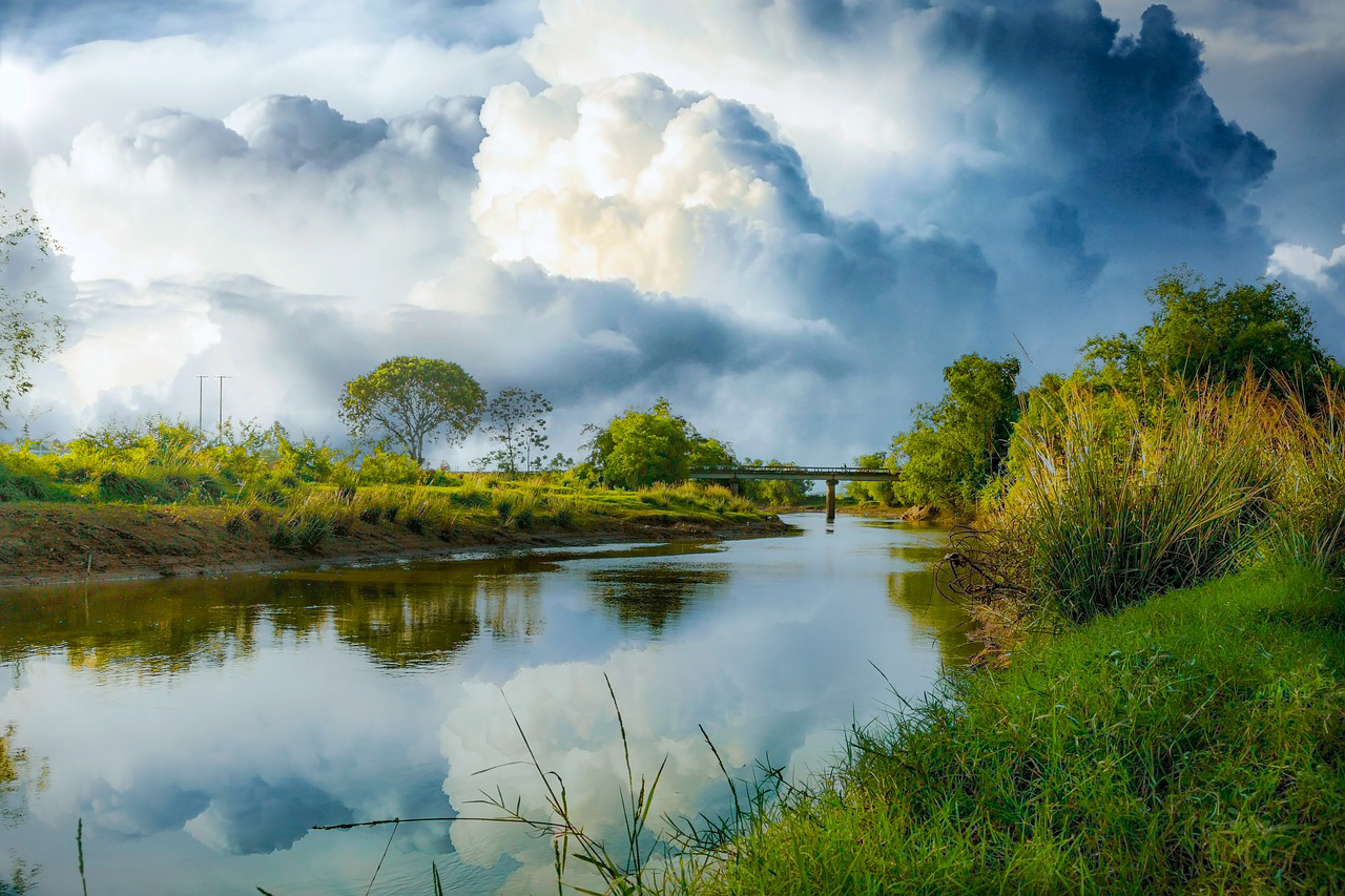 LaSalle County Democrats