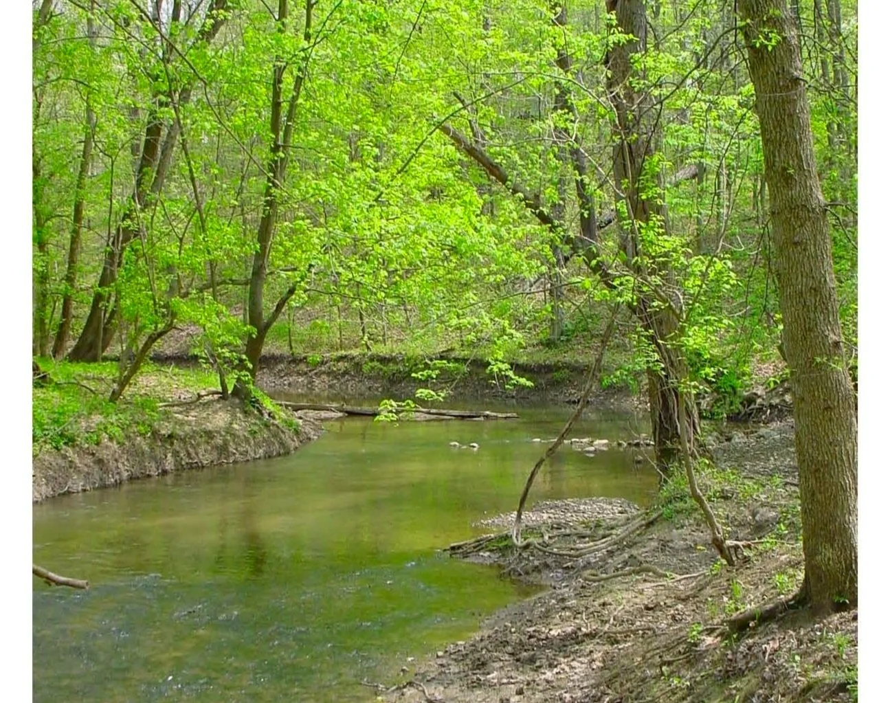 Sargent Road Association