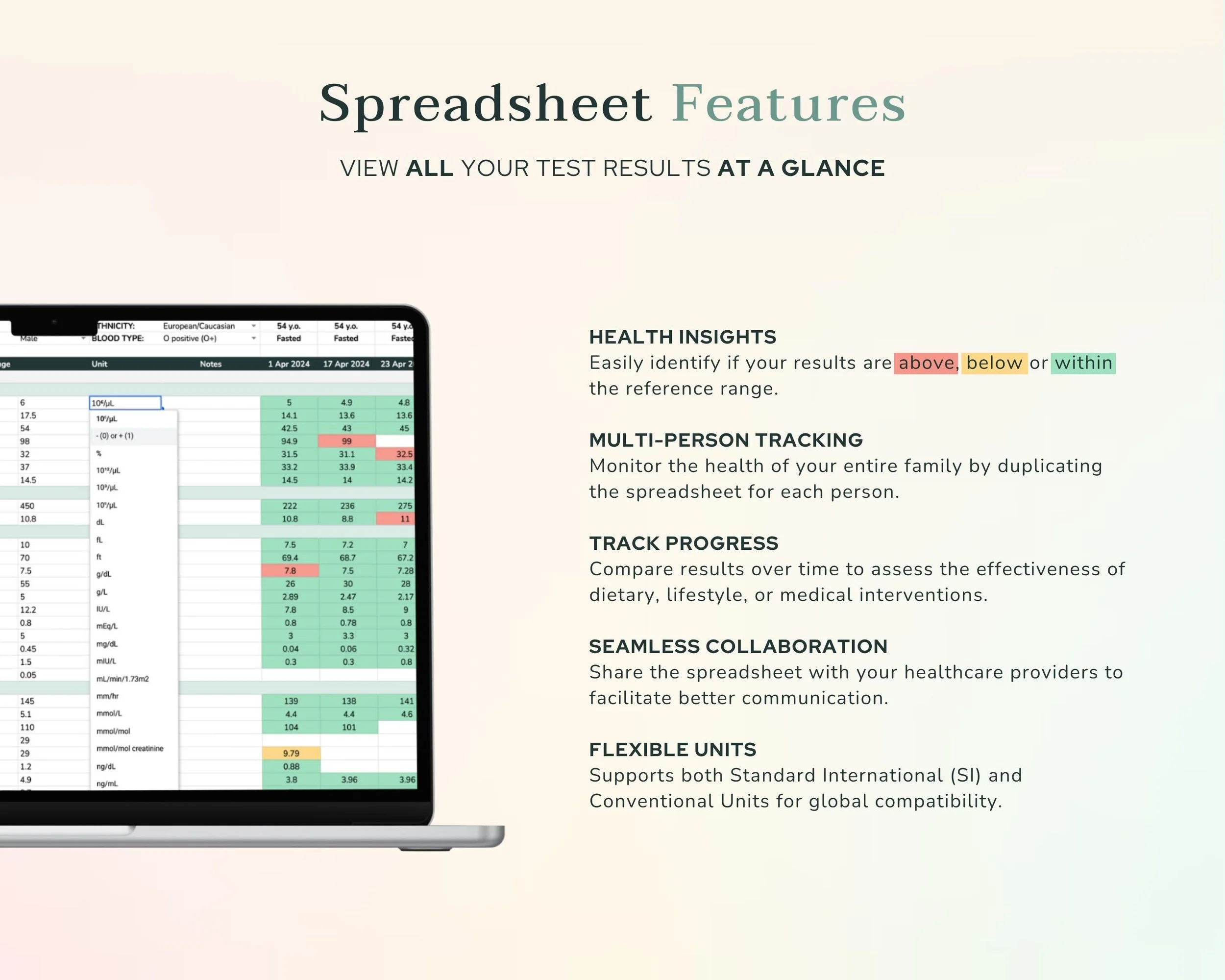 Blood Test Tracker Lite | Easy Lab Results Tracking Spreadsheet for ...
