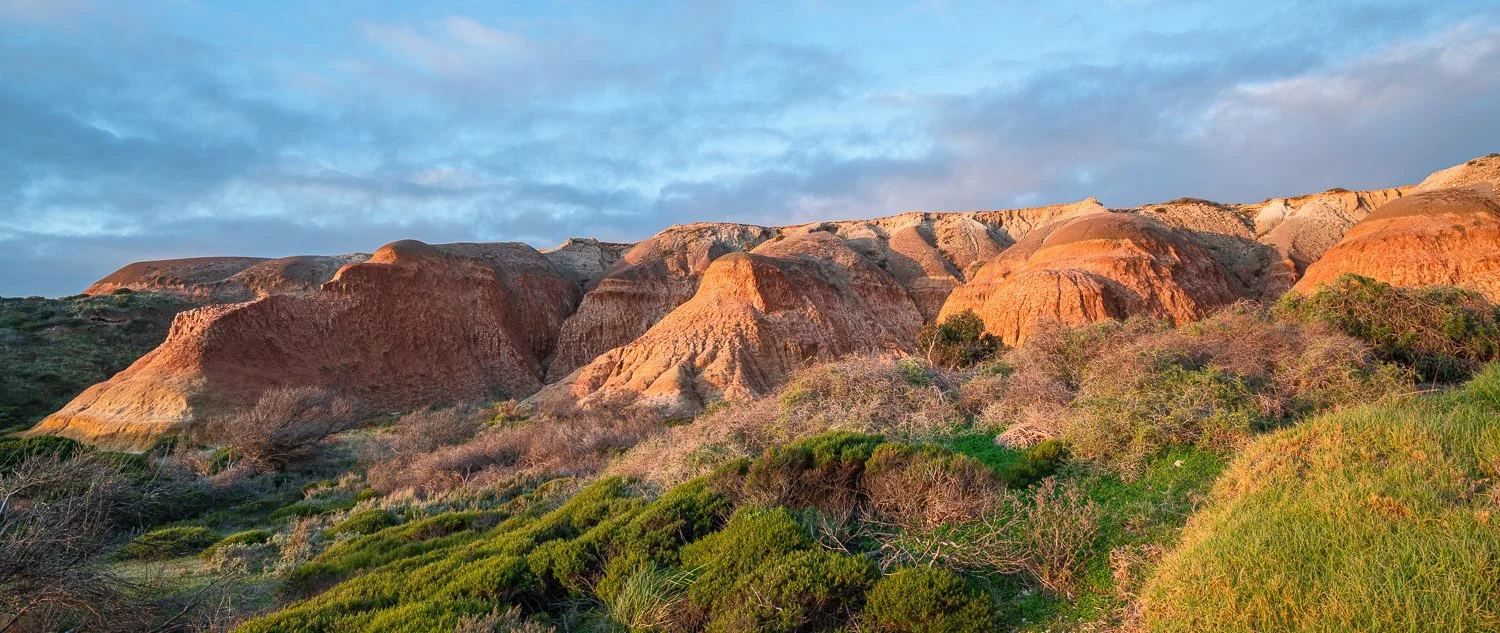 About Us — Friends of Willunga Basin