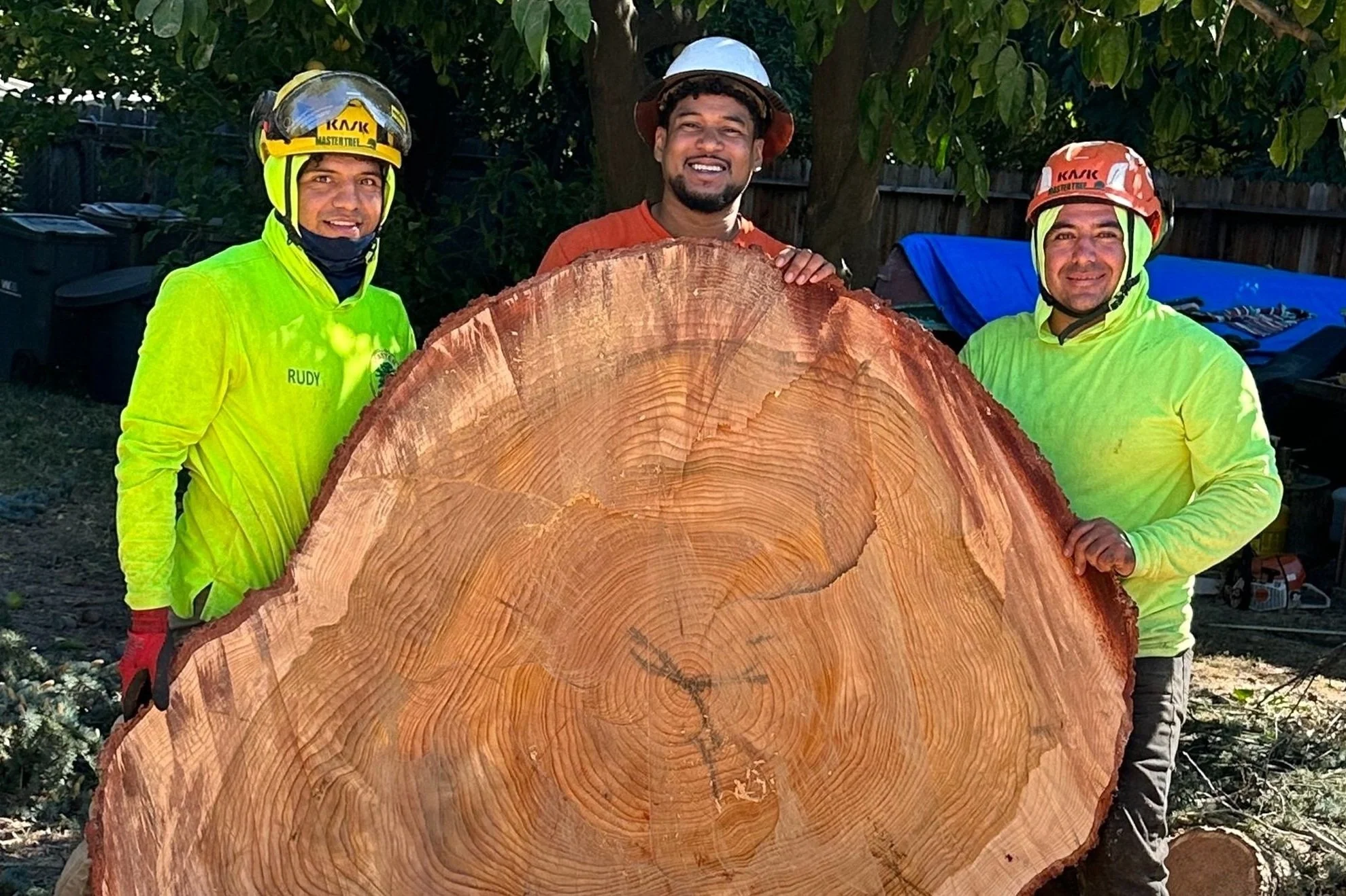 Master Tree Care, Inc.